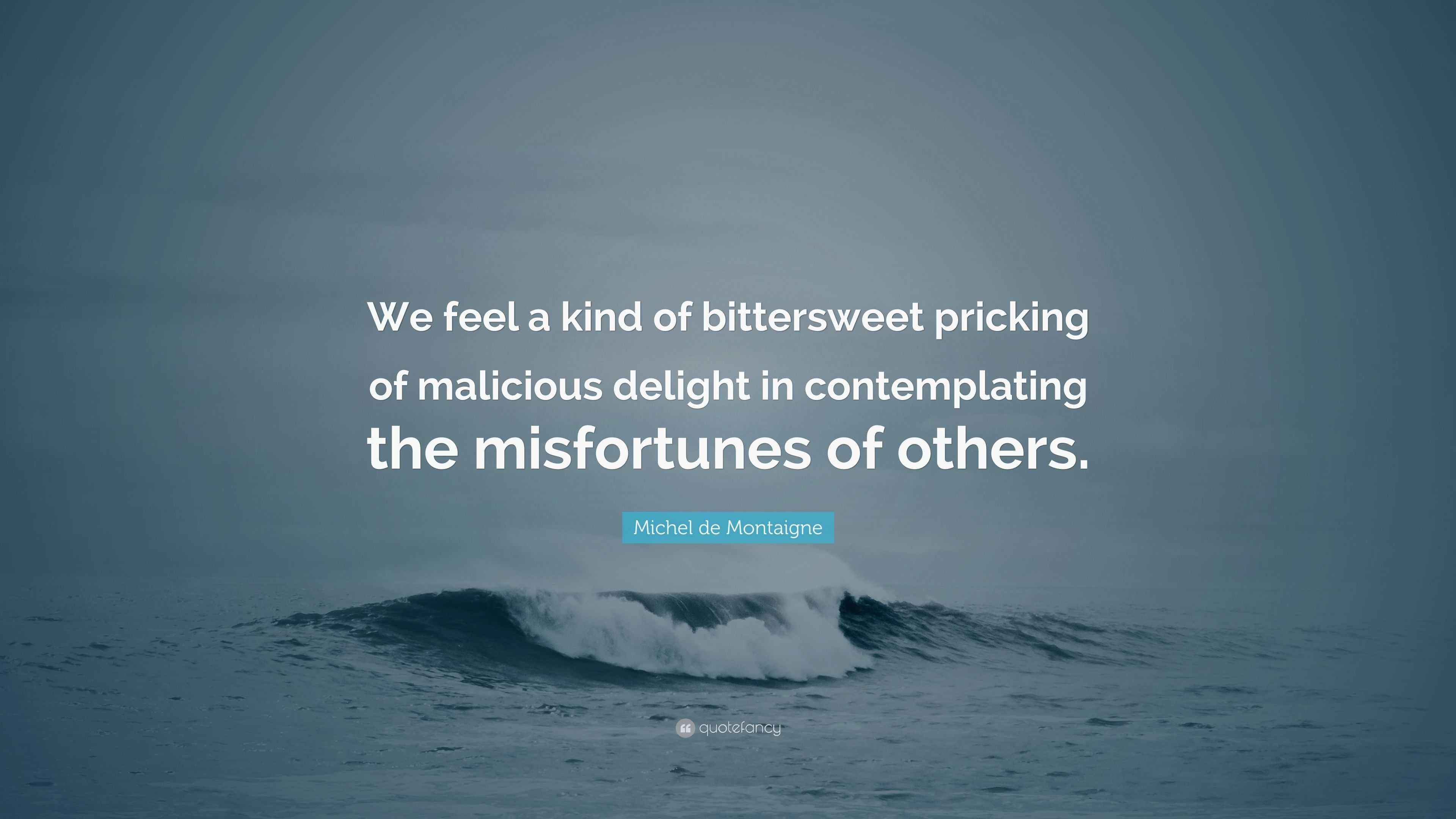 Michel de Montaigne Quote: “We feel a kind of bittersweet pricking of ...