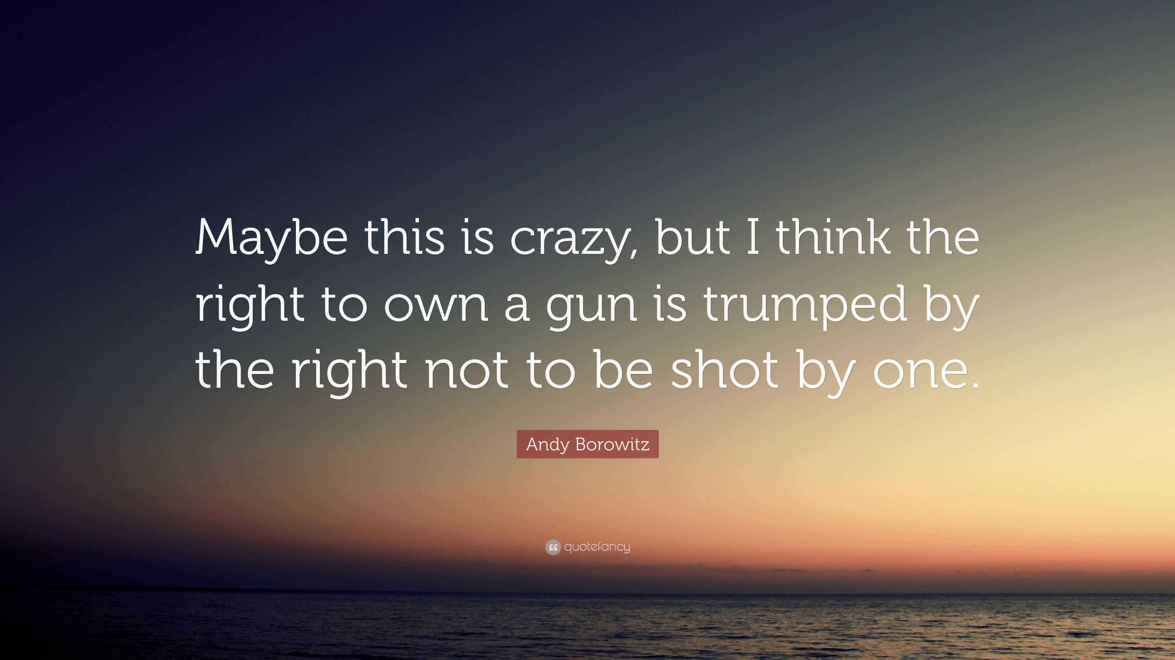 Andy Borowitz Quote: “Maybe this is crazy, but I think the right to own ...