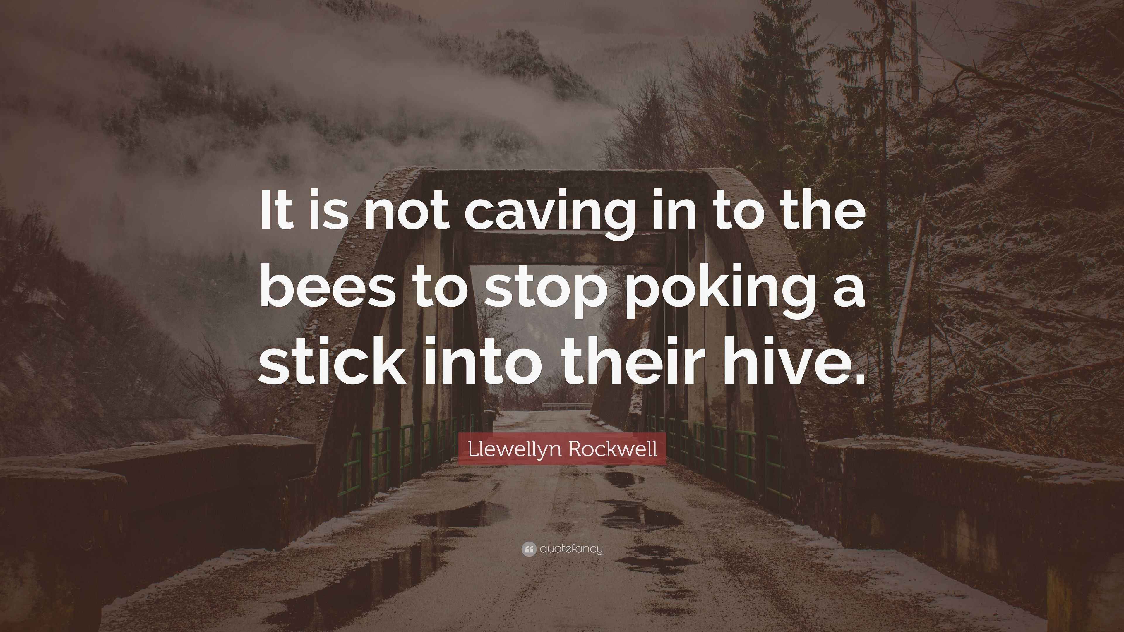 Llewellyn Rockwell Quote: “It is not caving in to the bees to stop ...
