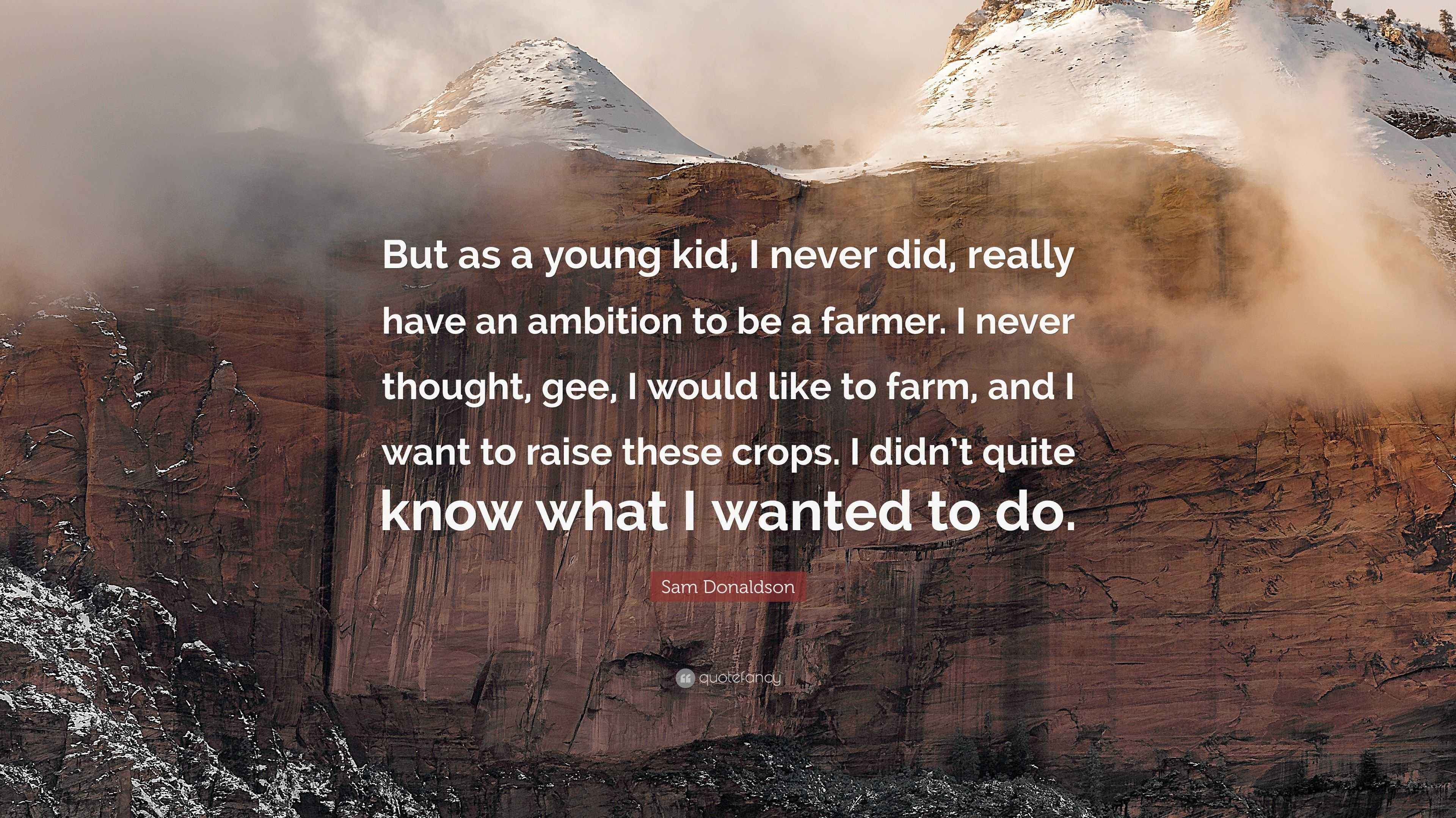 Sam Donaldson Quote: “But as a young kid, I never did, really have an ...
