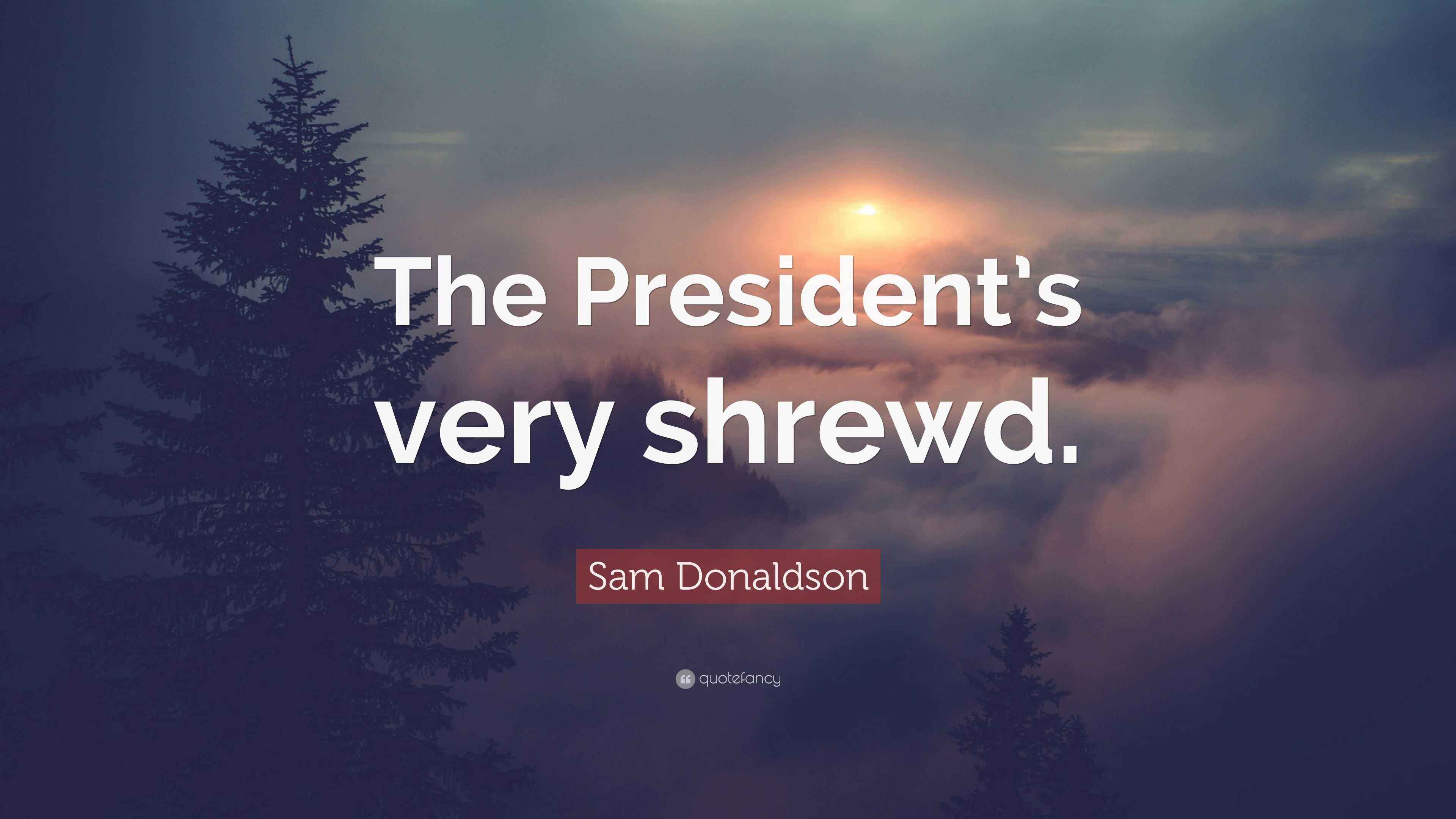 Sam Donaldson Quote: “The President’s very shrewd.”