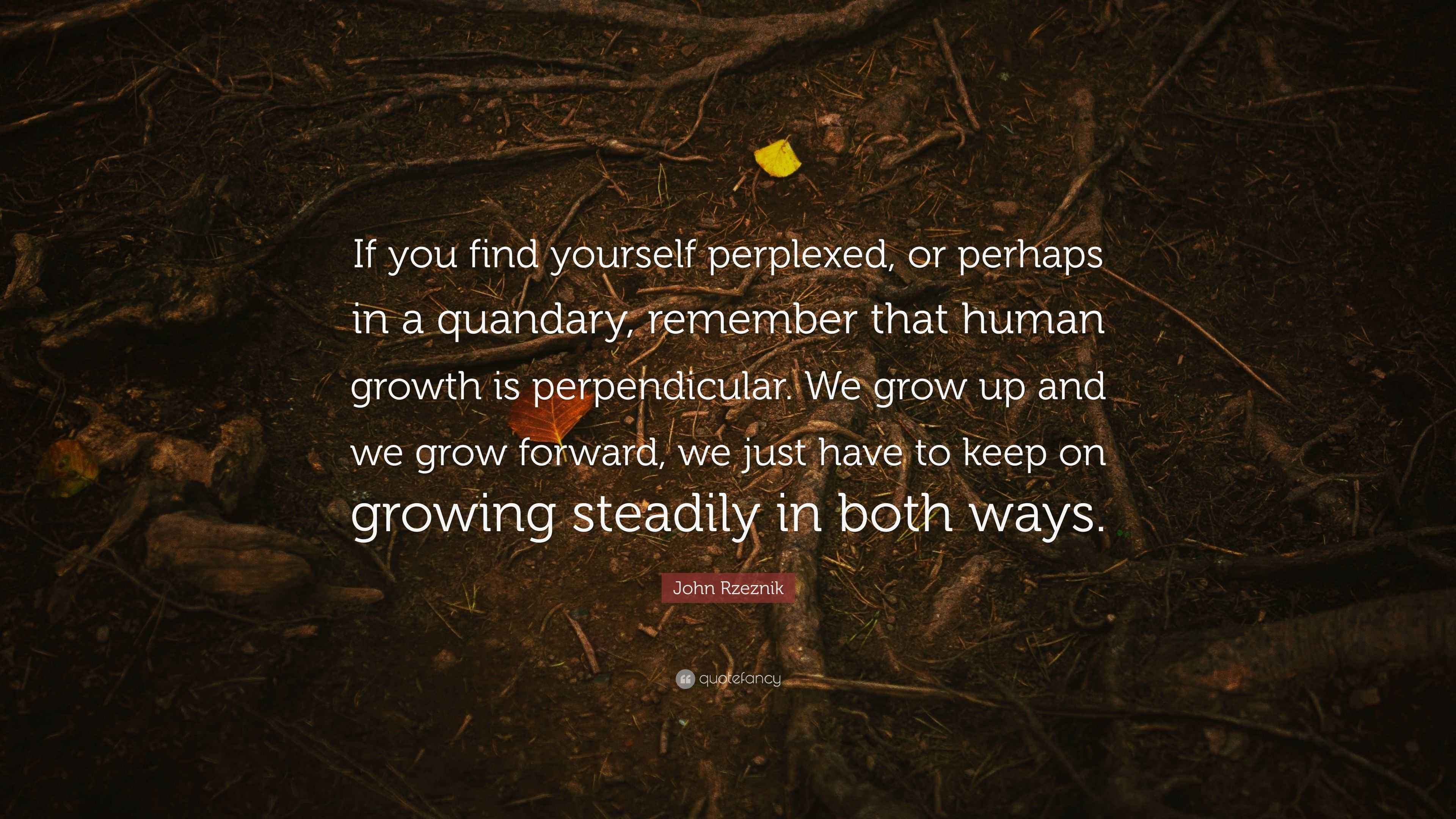 John Rzeznik Quote: “If you find yourself perplexed, or perhaps in a ...