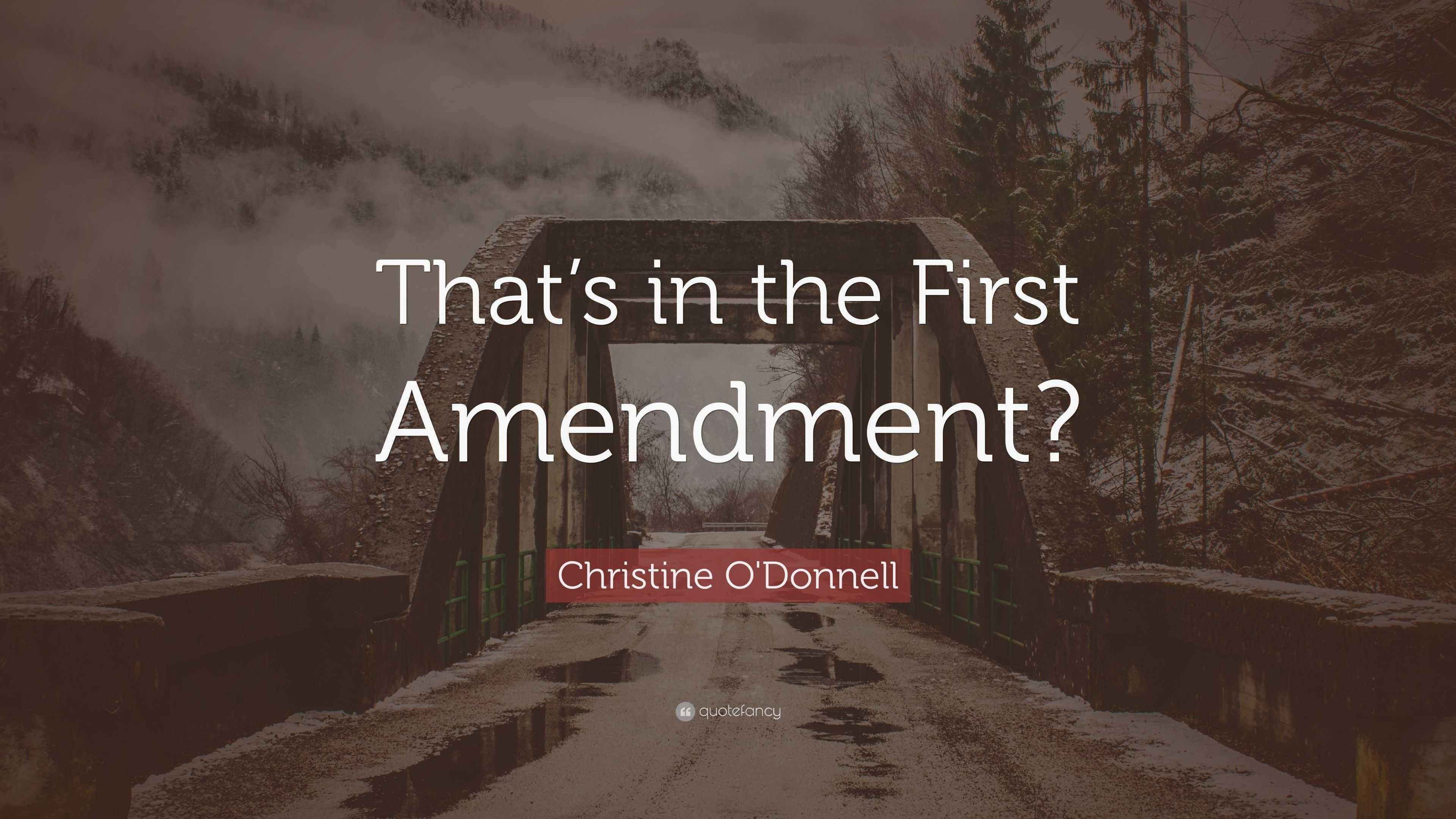 Christine O'Donnell Quote: “That’s in the First Amendment?”