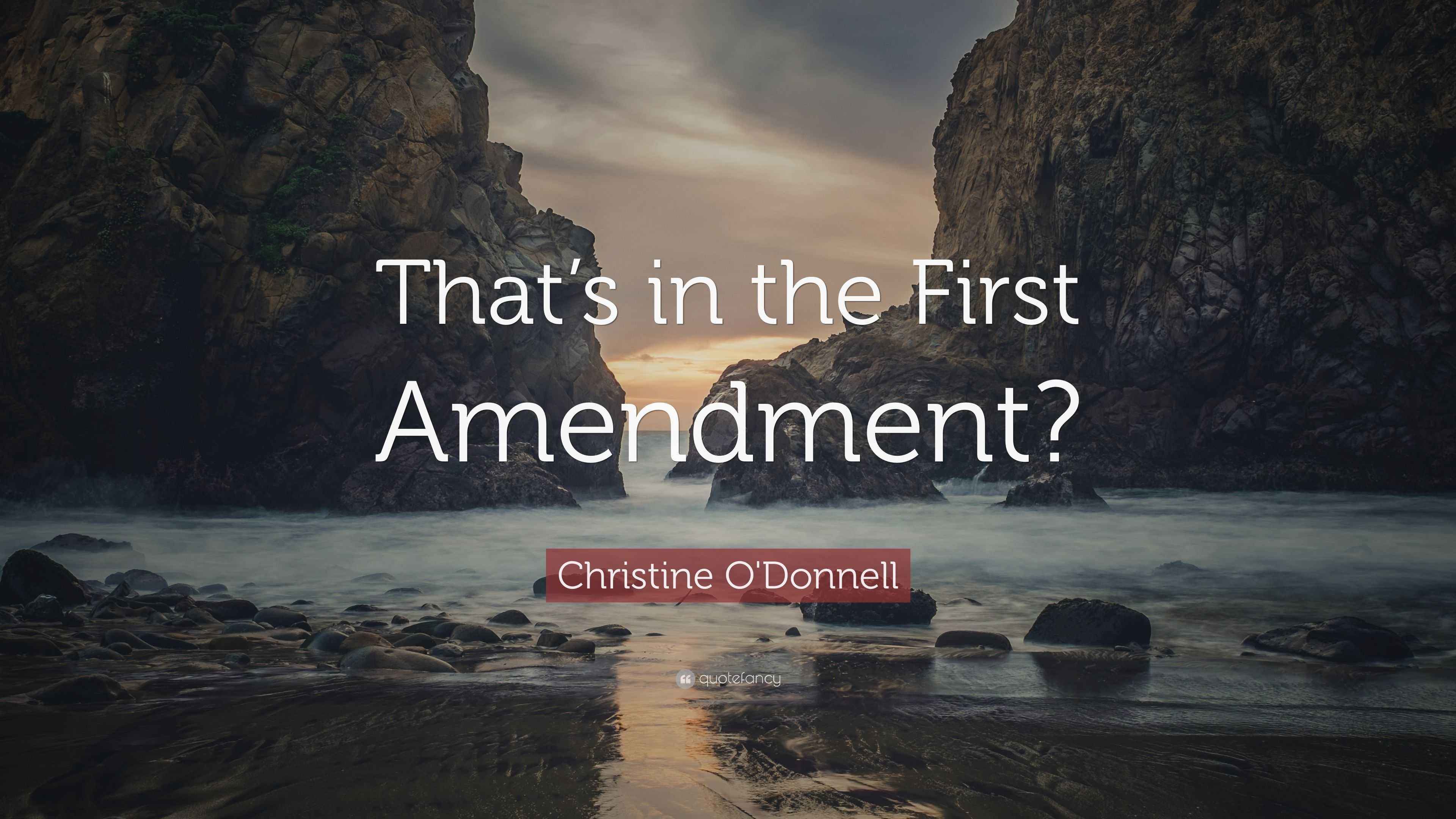 Christine O'Donnell Quote: “That’s in the First Amendment?”