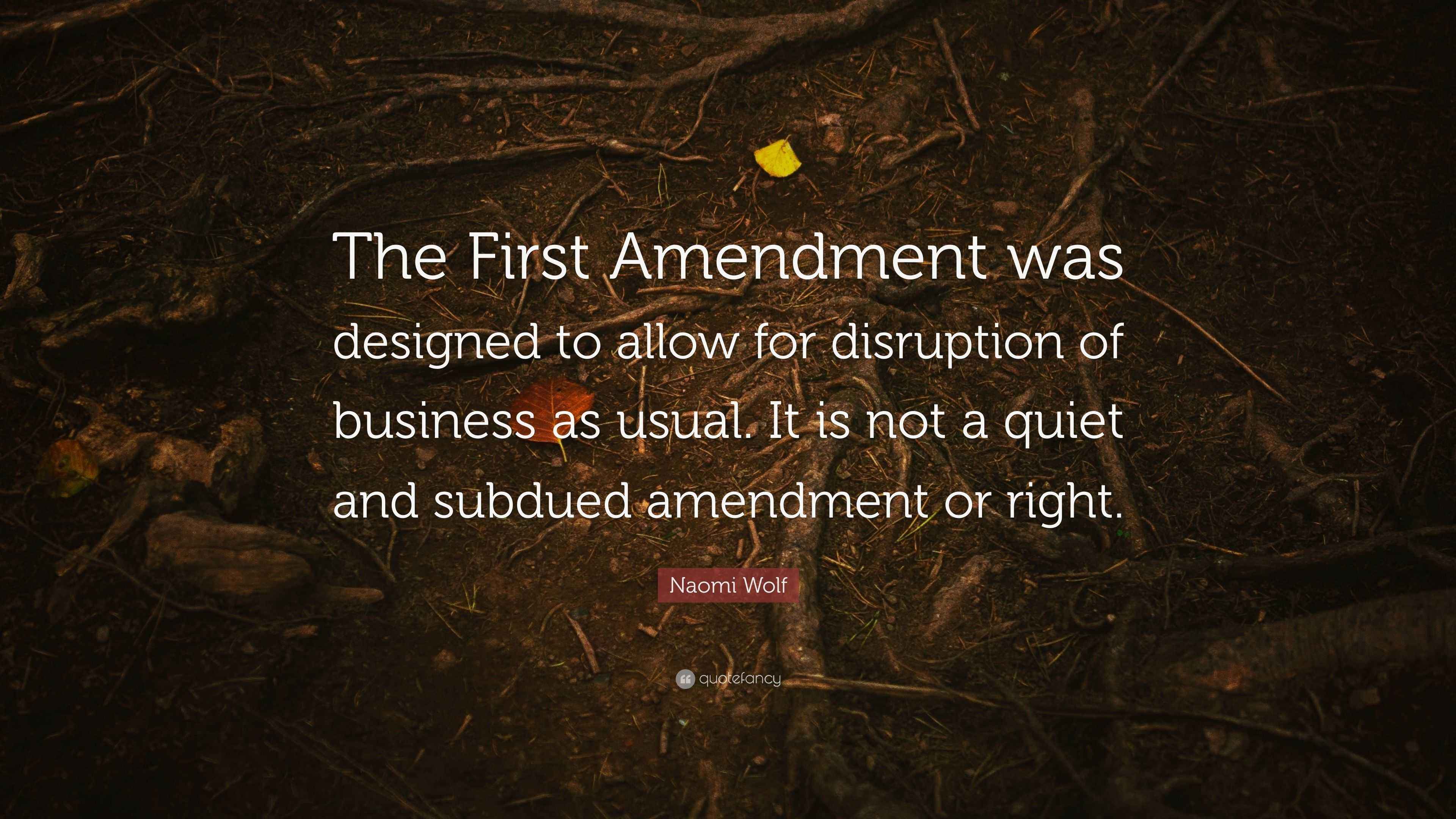 Naomi Wolf Quote: “The First Amendment was designed to allow for ...
