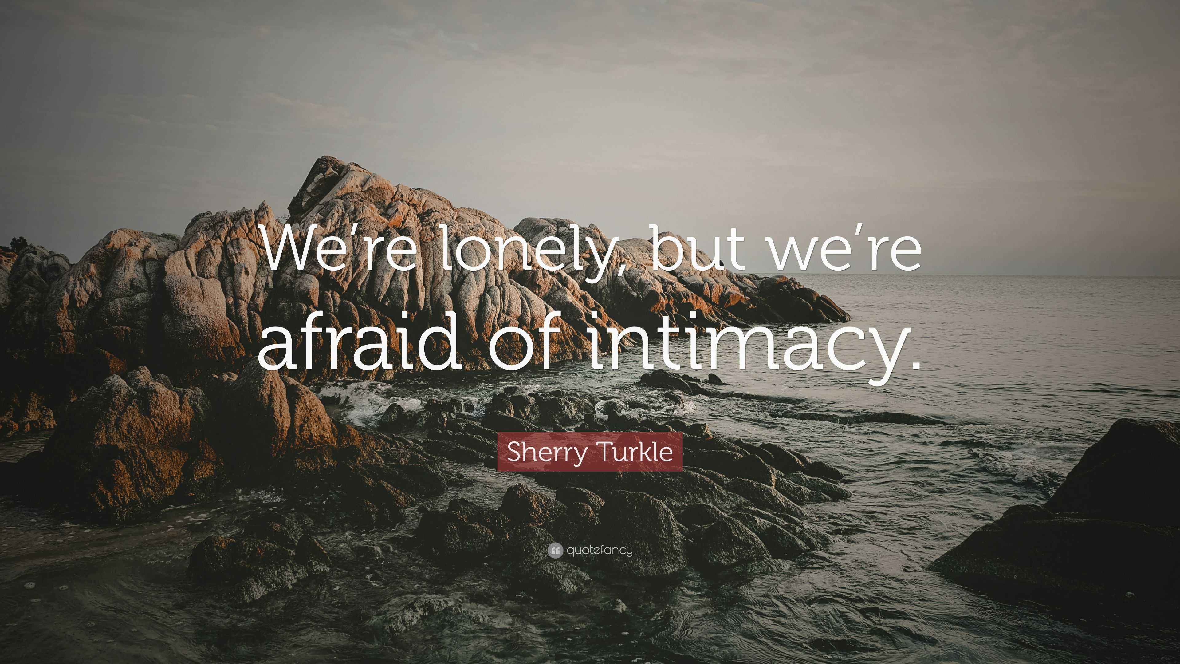 Sherry Turkle Quote: “We’re lonely, but we’re afraid of intimacy.”