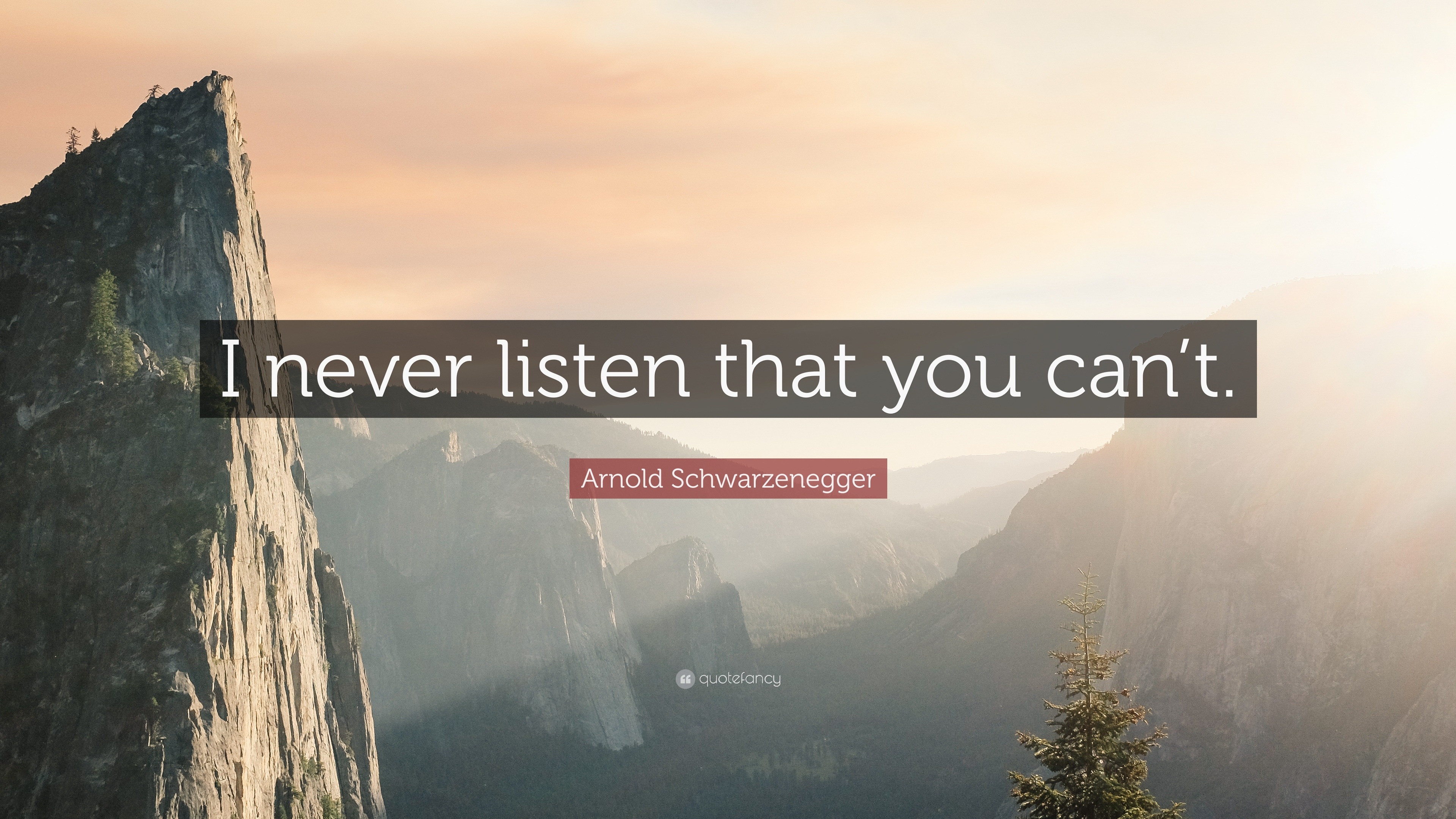 Arnold Schwarzenegger Quote: “I never listen that you can’t.”