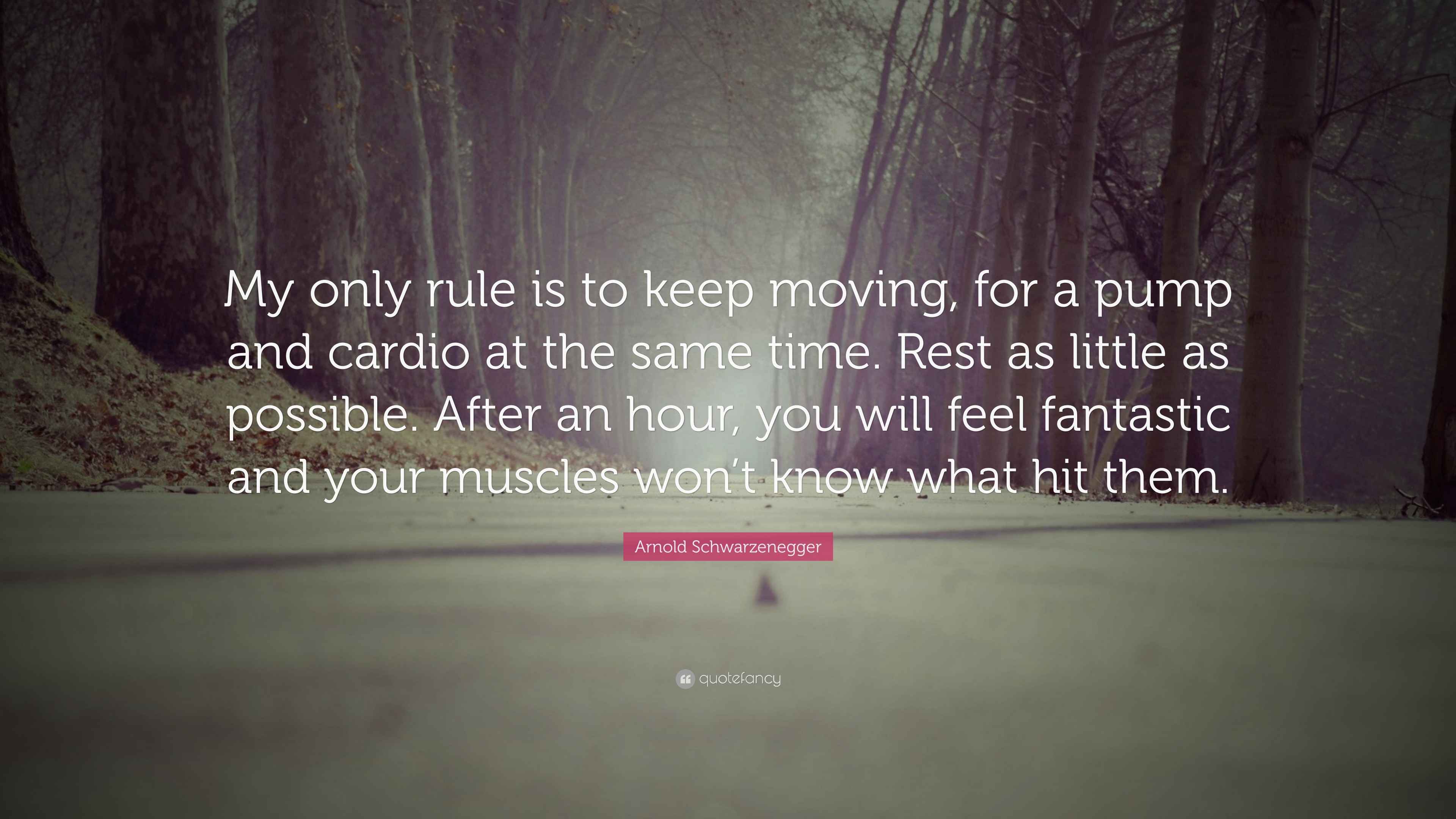 Arnold Schwarzenegger Quote: “My only rule is to keep moving, for a ...