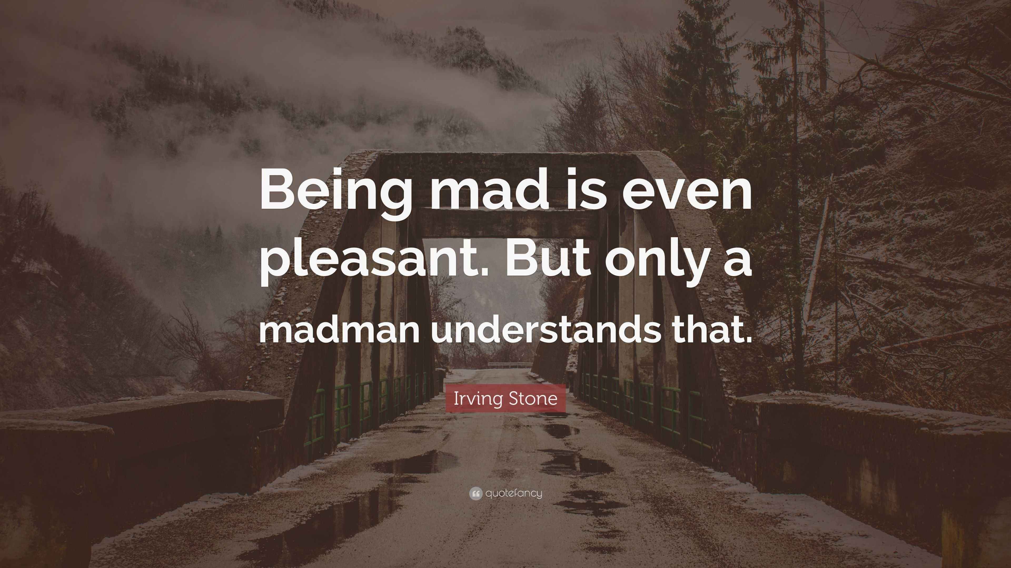 Irving Stone Quote: “Being mad is even pleasant. But only a madman ...