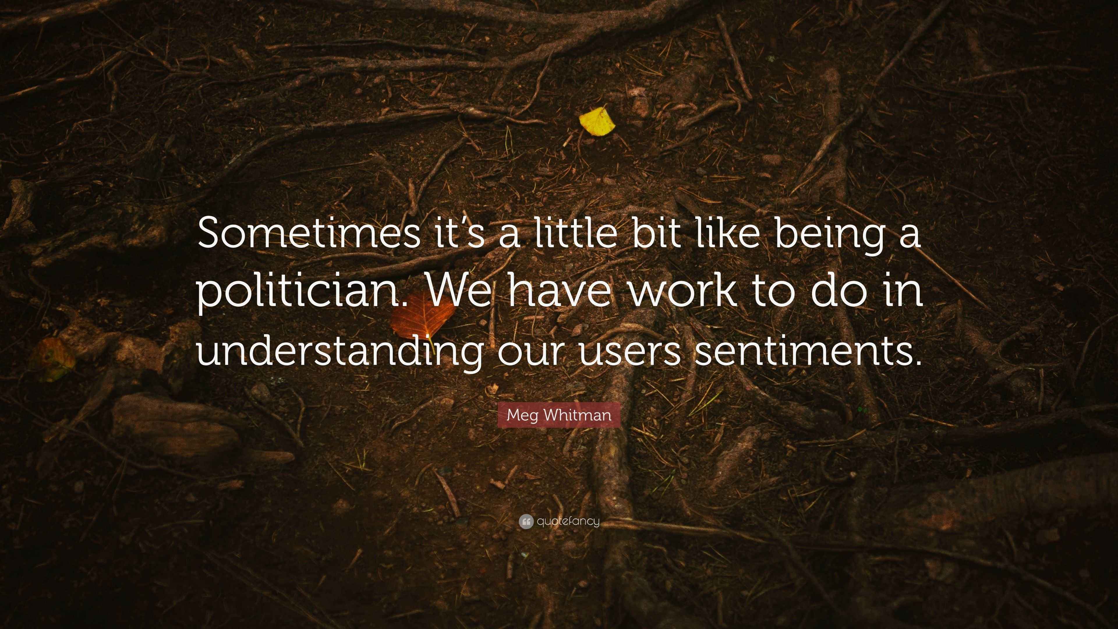 Meg Whitman Quote: “Sometimes it’s a little bit like being a politician ...