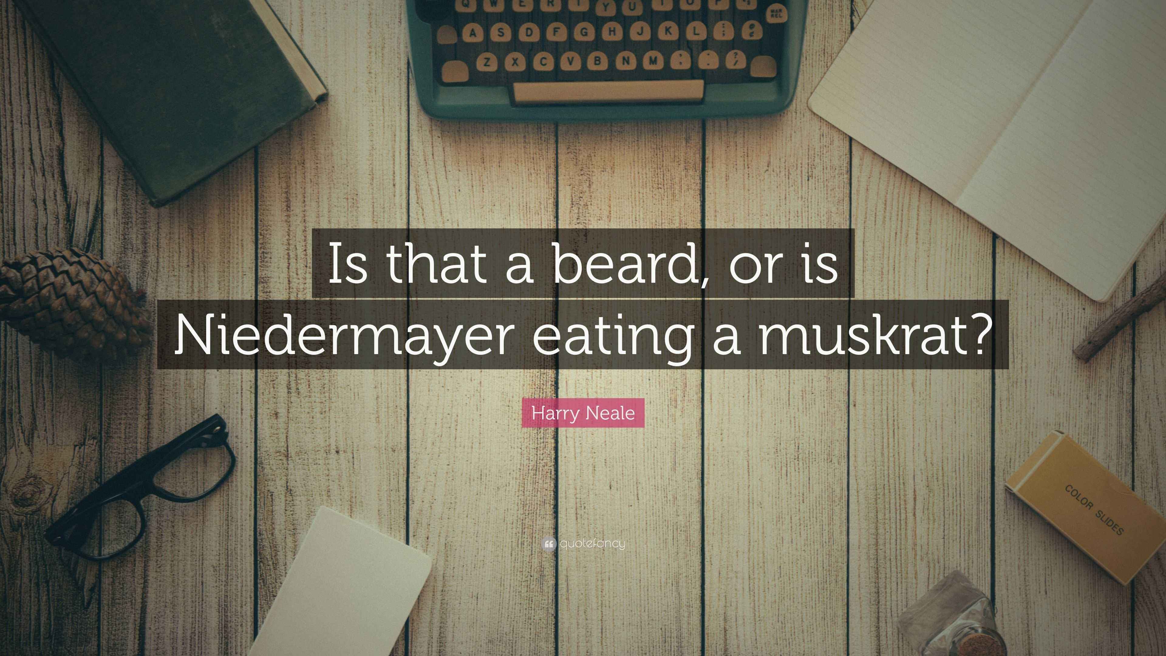 Harry Neale Quote: “Is that a beard, or is Niedermayer eating a muskrat?”