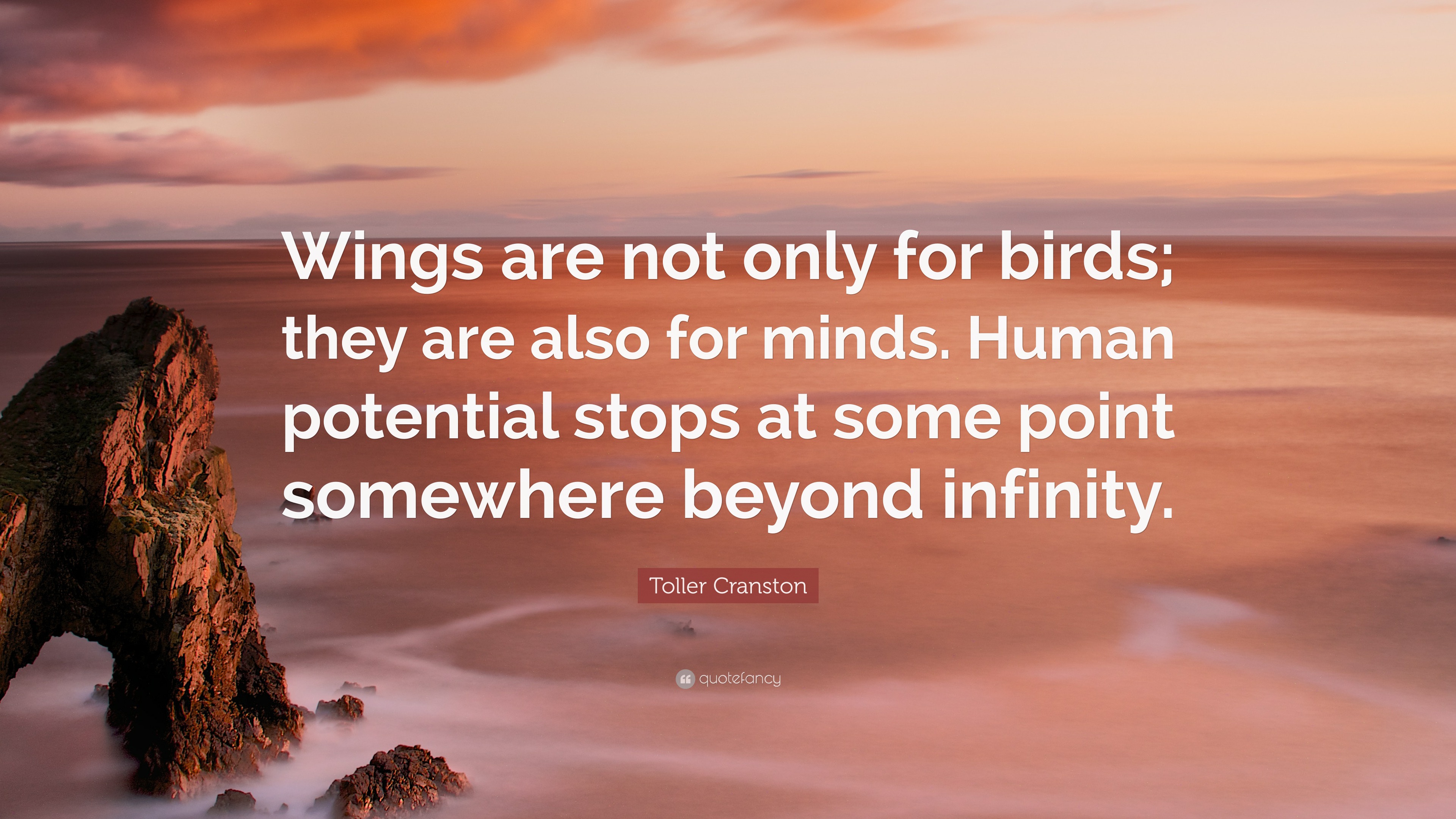 Toller Cranston Quote: “Wings are not only for birds; they are also for ...