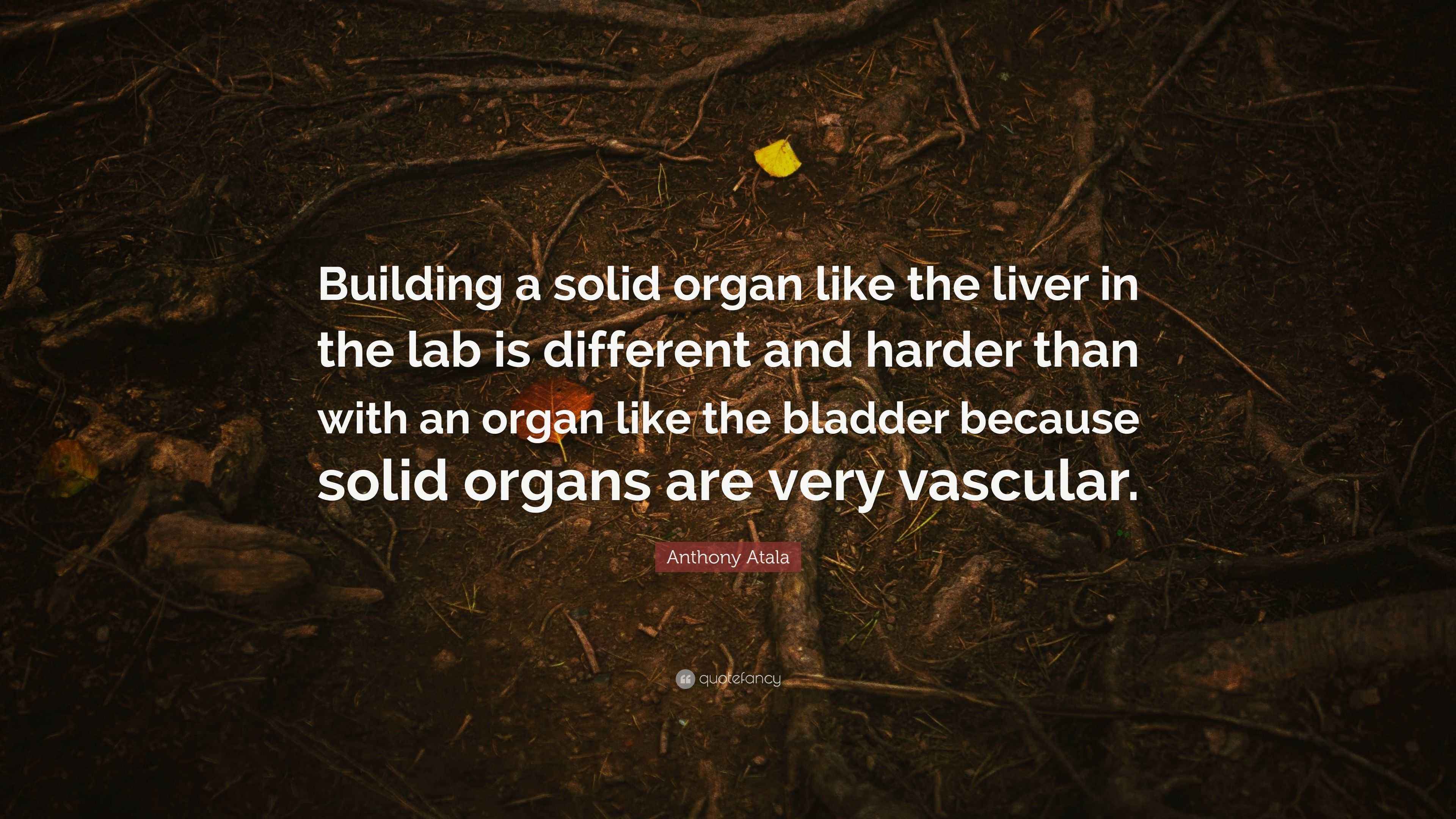 Anthony Atala Quote: “Building a solid organ like the liver in the lab ...