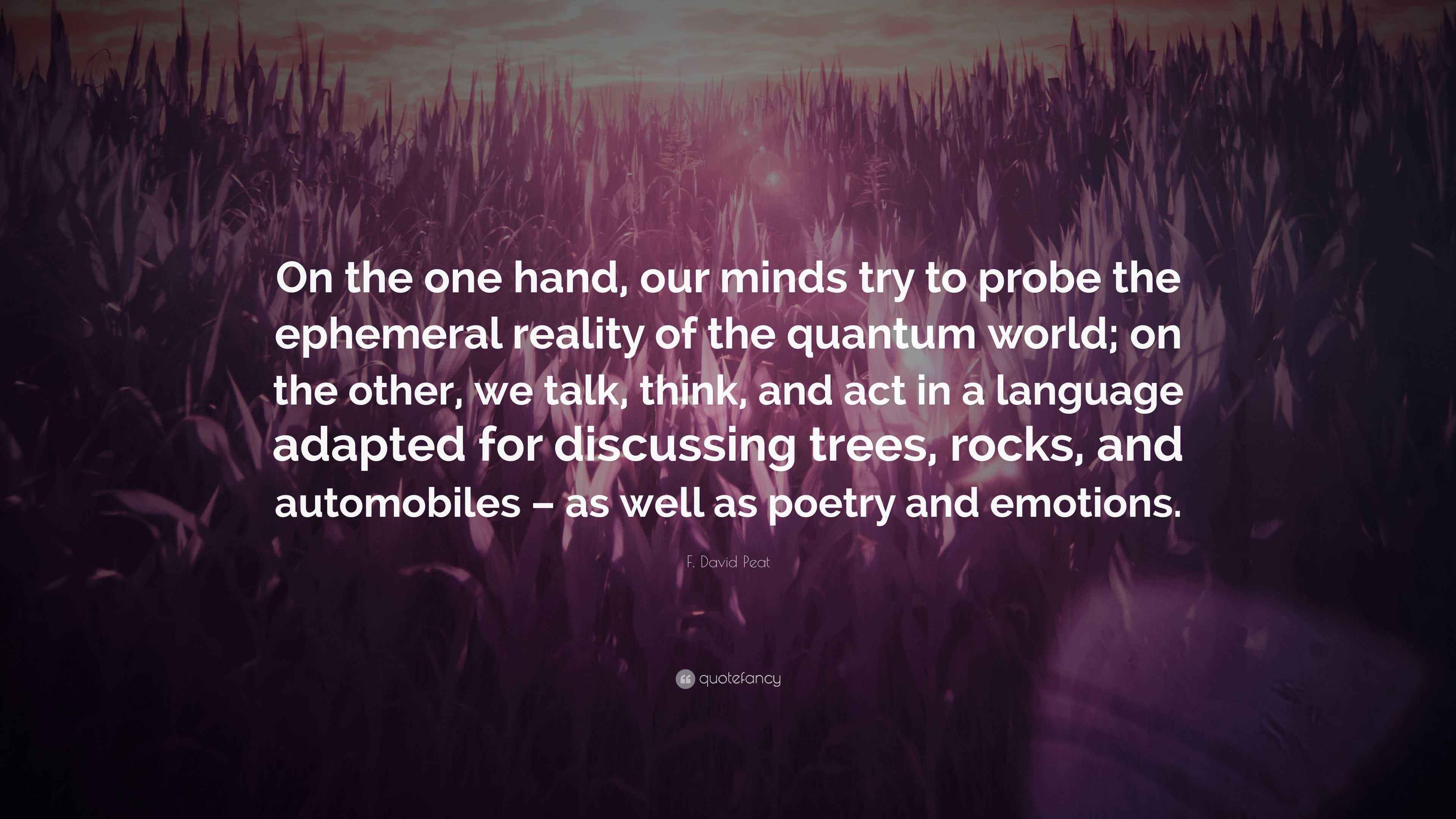 F. David Peat Quote: “On the one hand, our minds try to probe the ...