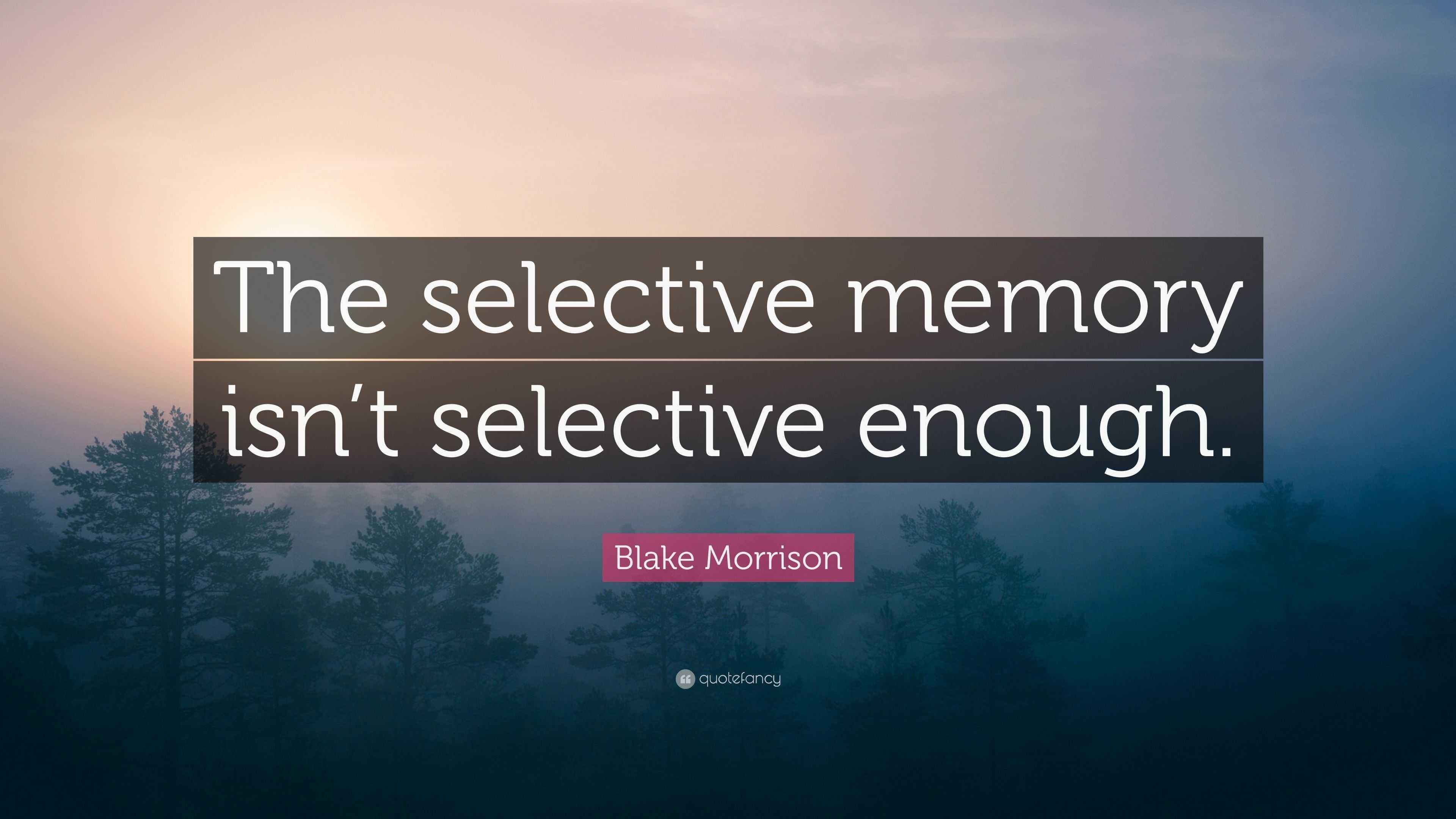 Blake Morrison Quote: “The selective memory isn’t selective enough.”