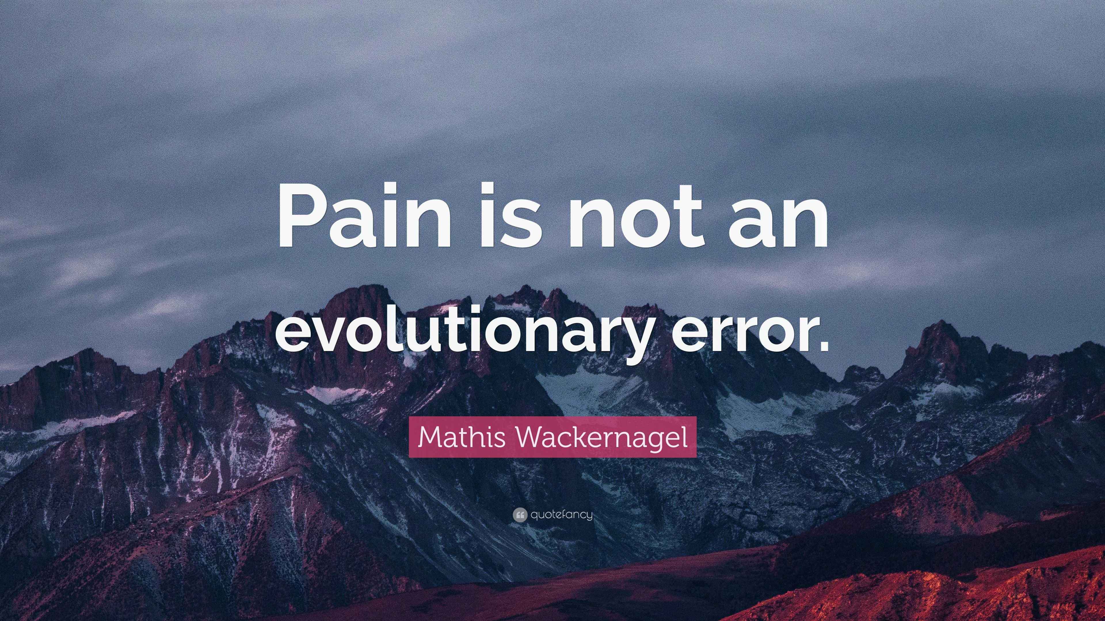 Mathis Wackernagel Quote: “Pain is not an evolutionary error.”
