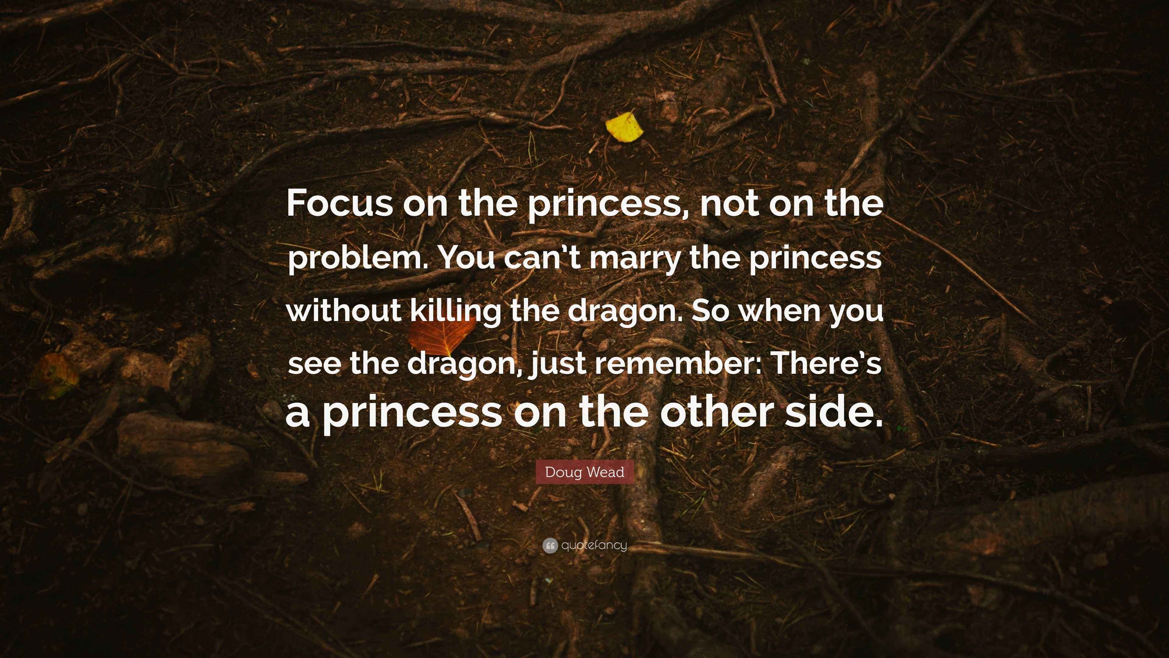 Doug Wead Quote: “Focus on the princess, not on the problem. You can’t ...