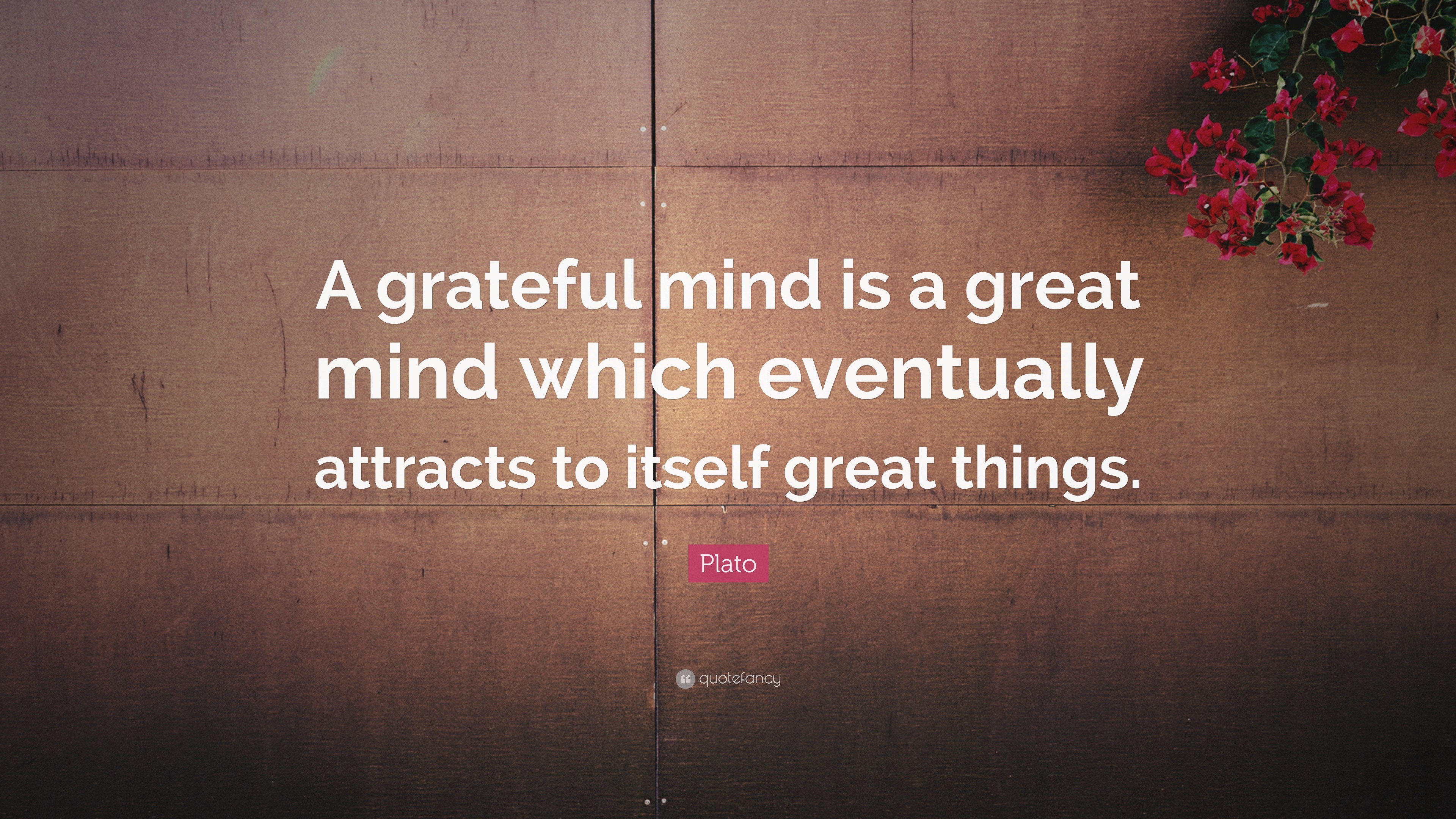 Plato Quote: “A grateful mind is a great mind which eventually attracts ...