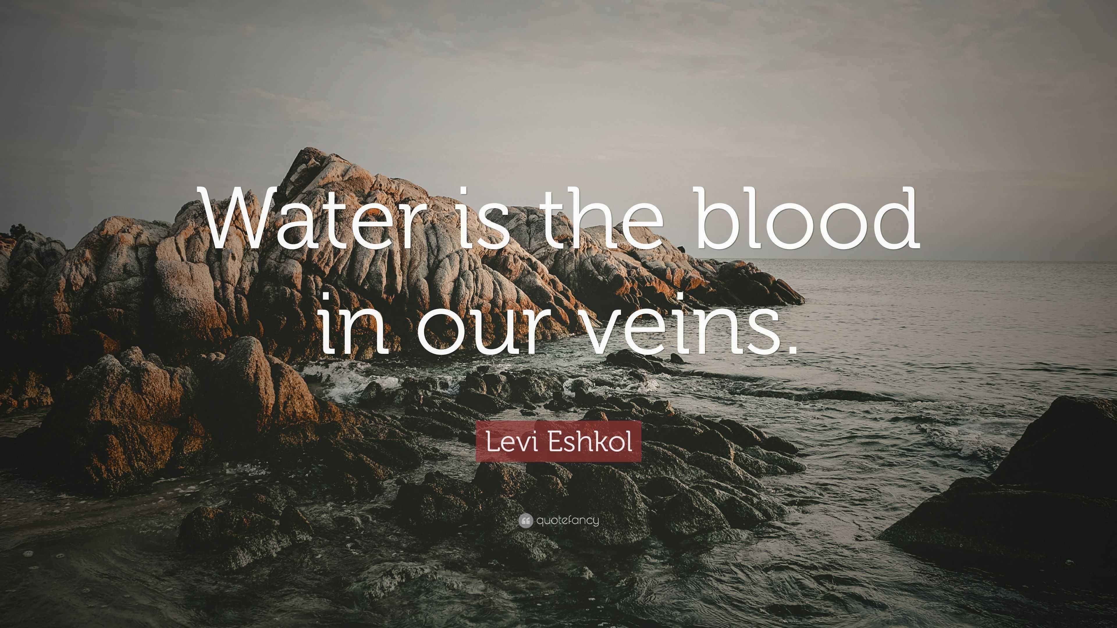 Levi Eshkol Quote: “Water is the blood in our veins.”