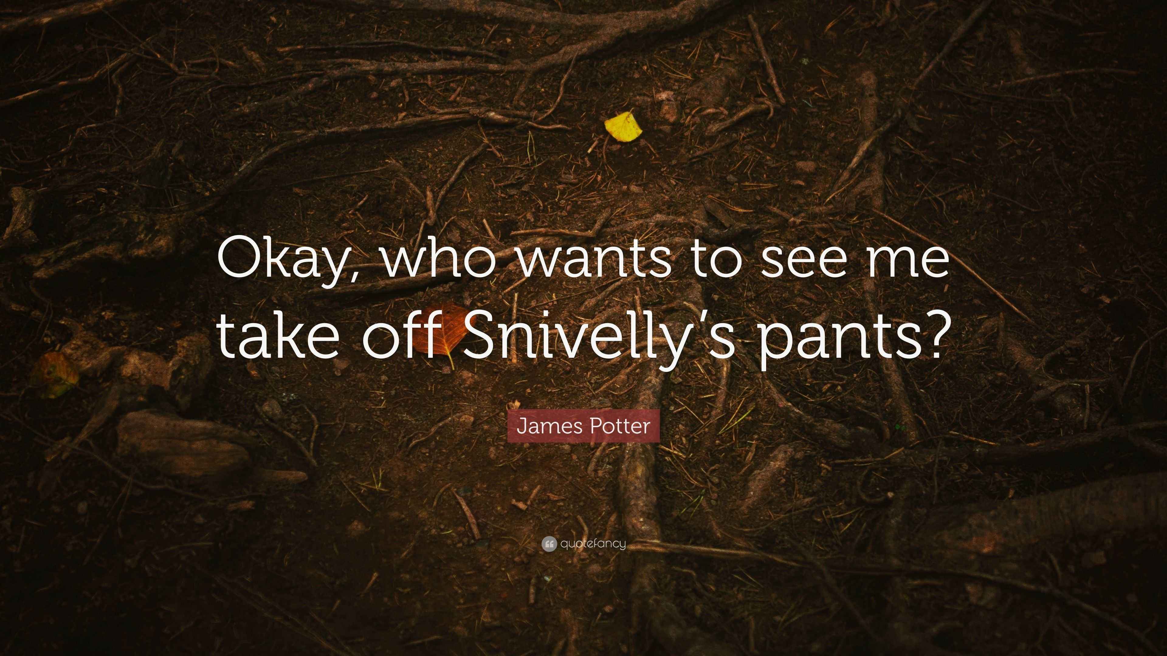 James Potter Quote: “Okay, who wants to see me take off Snivelly’s pants?”
