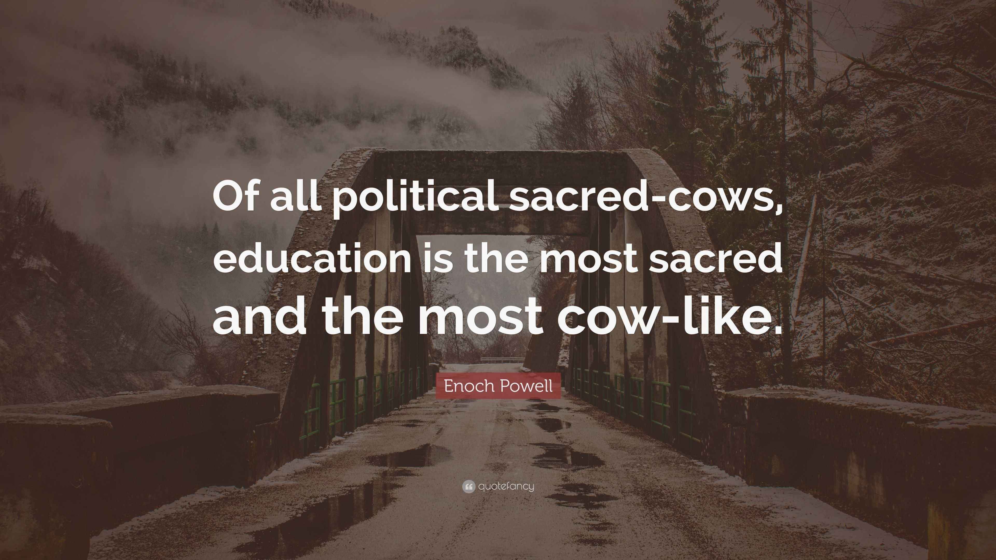 Enoch Powell Quote: “Of all political sacred-cows, education is the ...