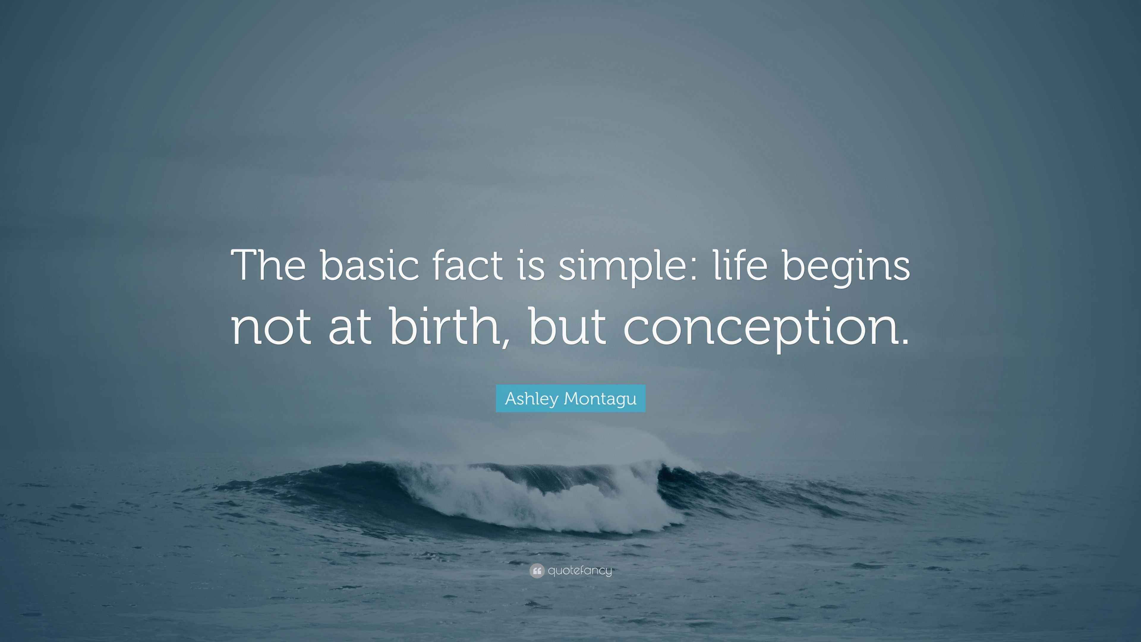 Ashley Montagu Quote: “The basic fact is simple: life begins not at ...