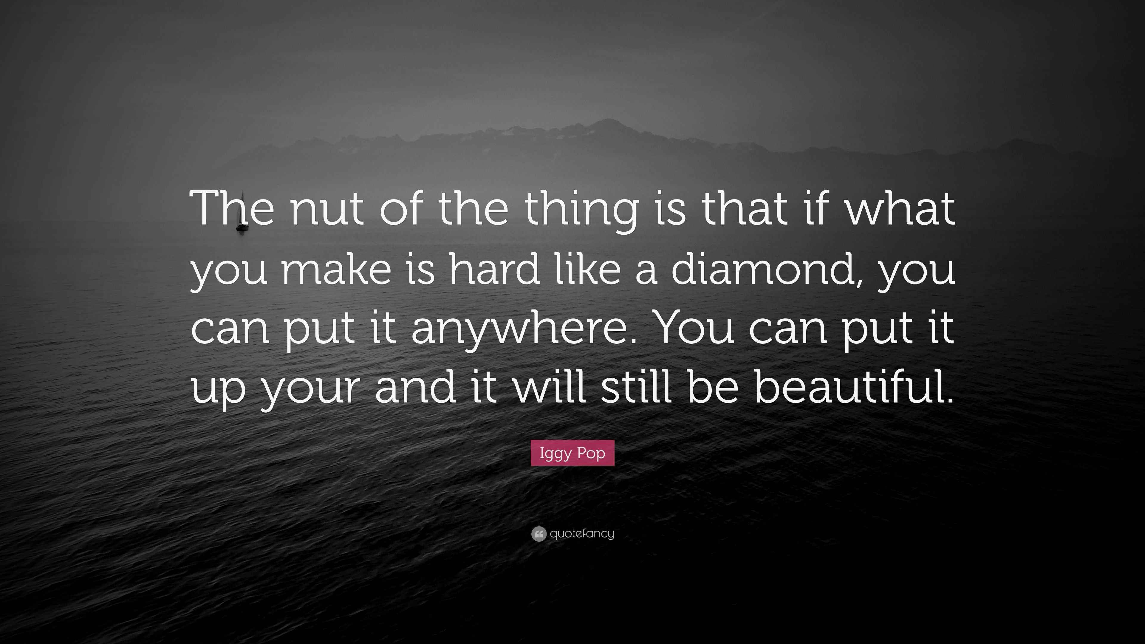 Iggy Pop Quote: “The nut of the thing is that if what you make is hard ...