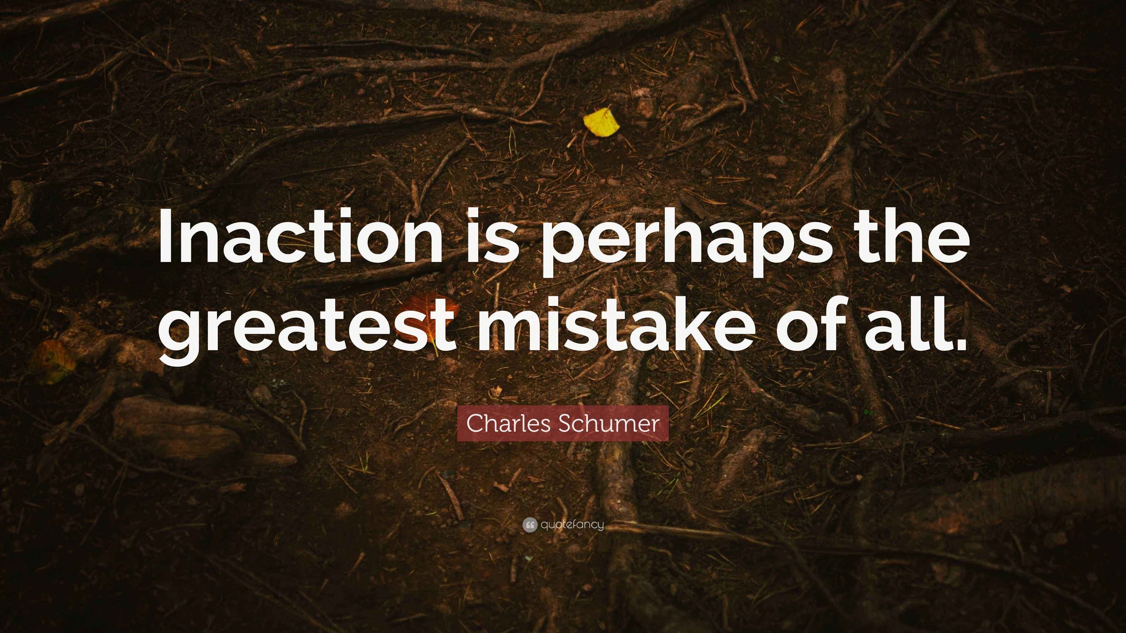 Charles Schumer Quote: “Inaction is perhaps the greatest mistake of all.”