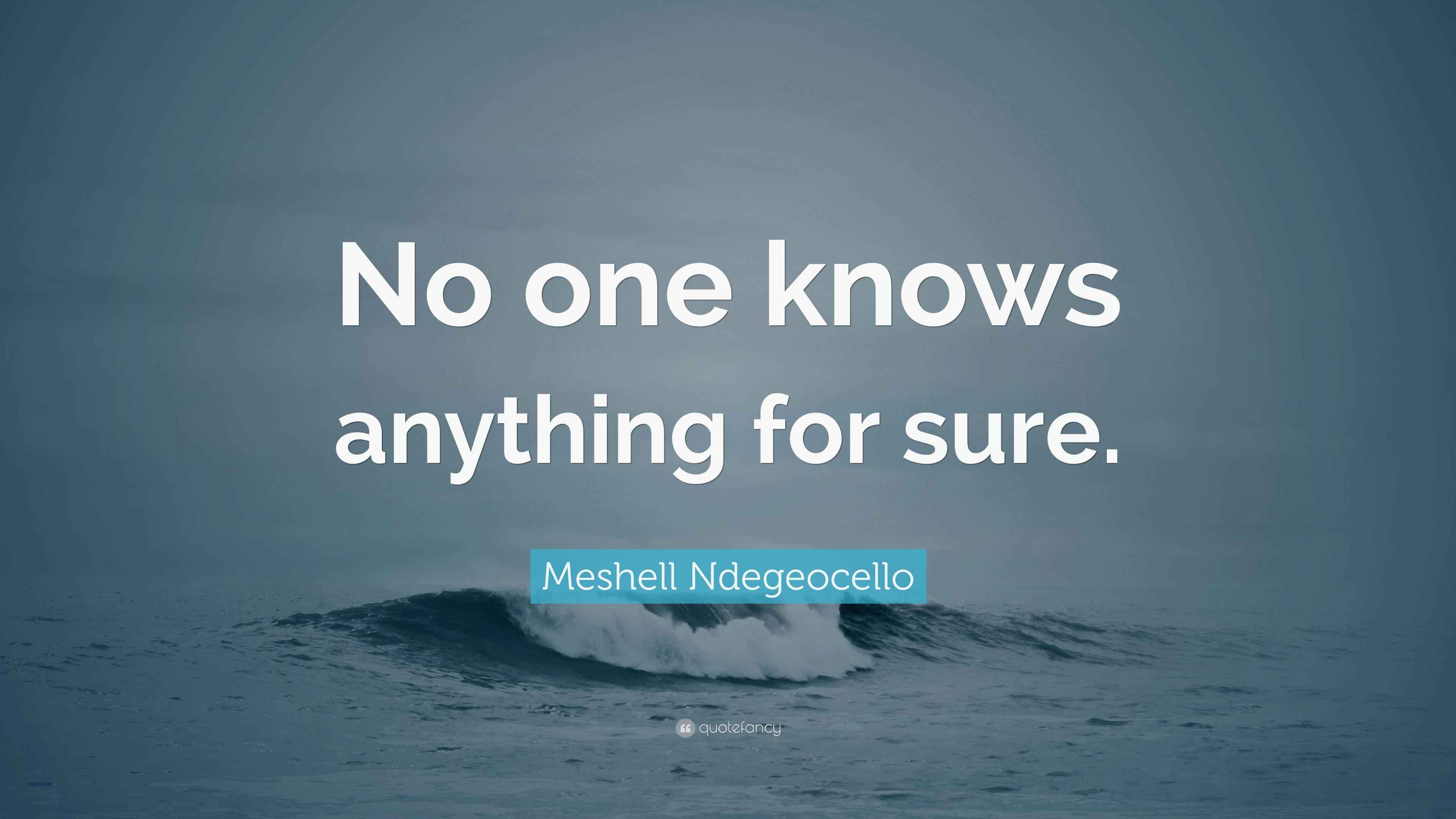 Meshell Ndegeocello Quote: “No one knows anything for sure.”