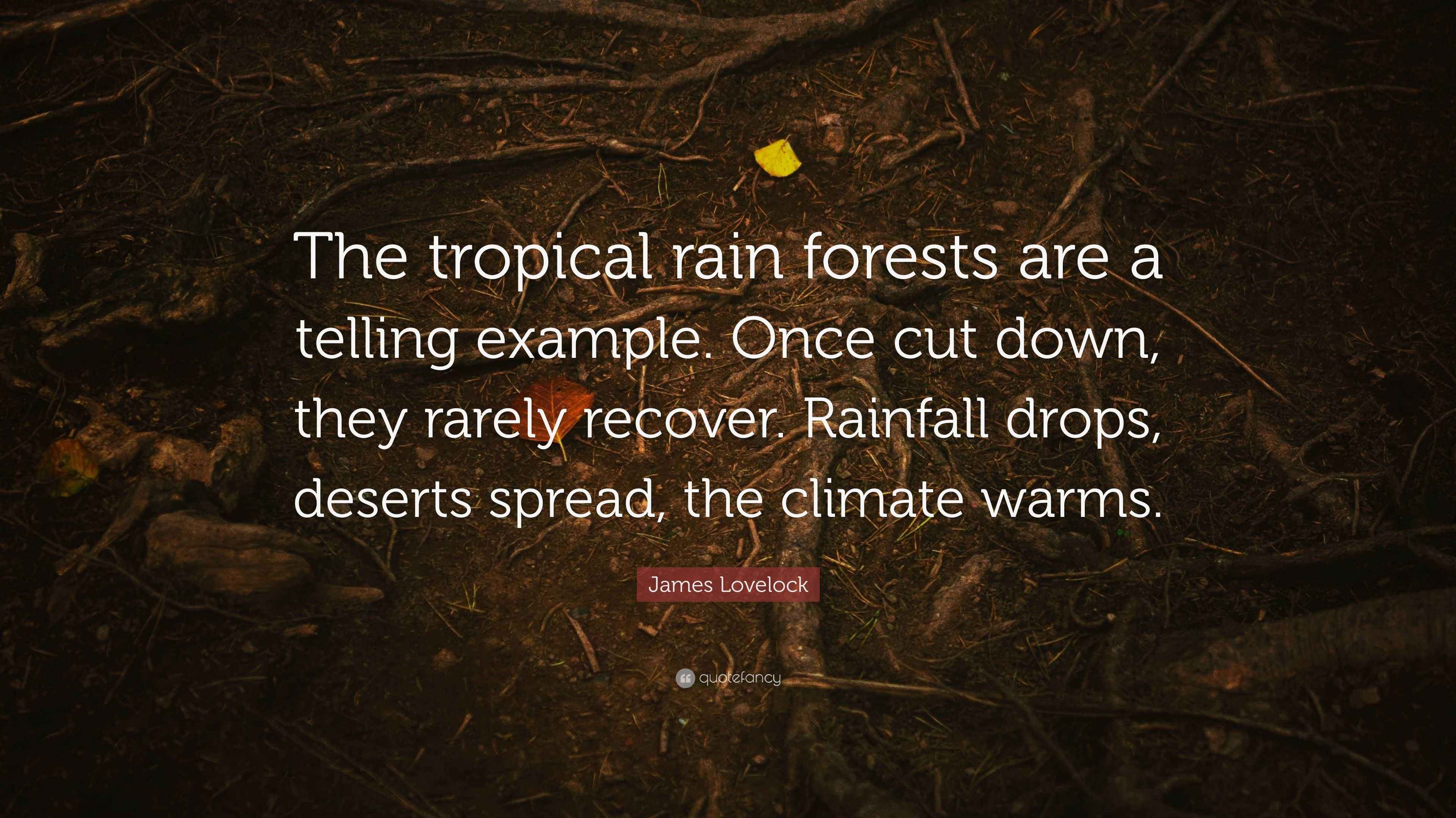 James Lovelock Quote: “The tropical rain forests are a telling example ...