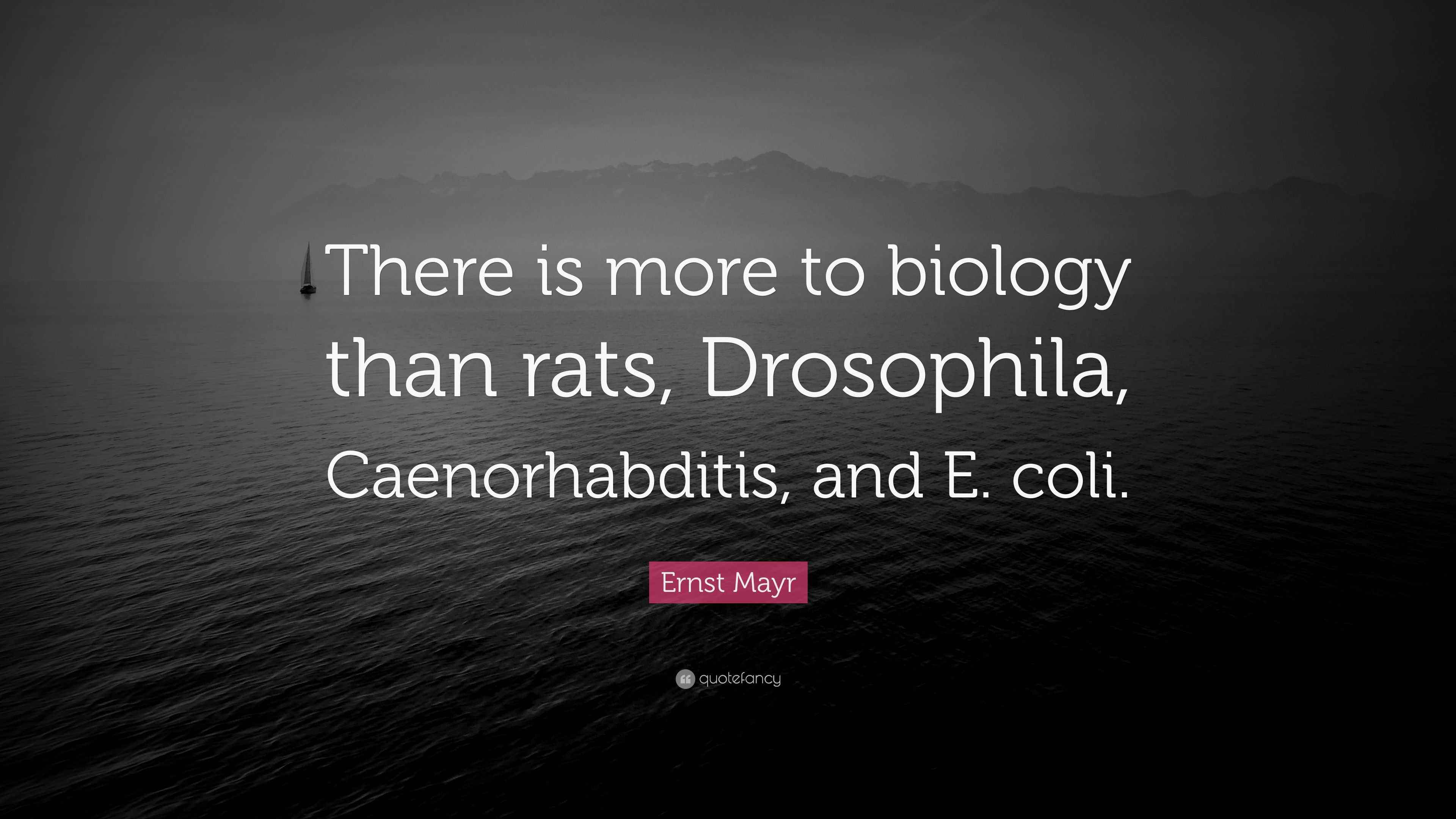 Ernst Mayr Quote: “There is more to biology than rats, Drosophila ...