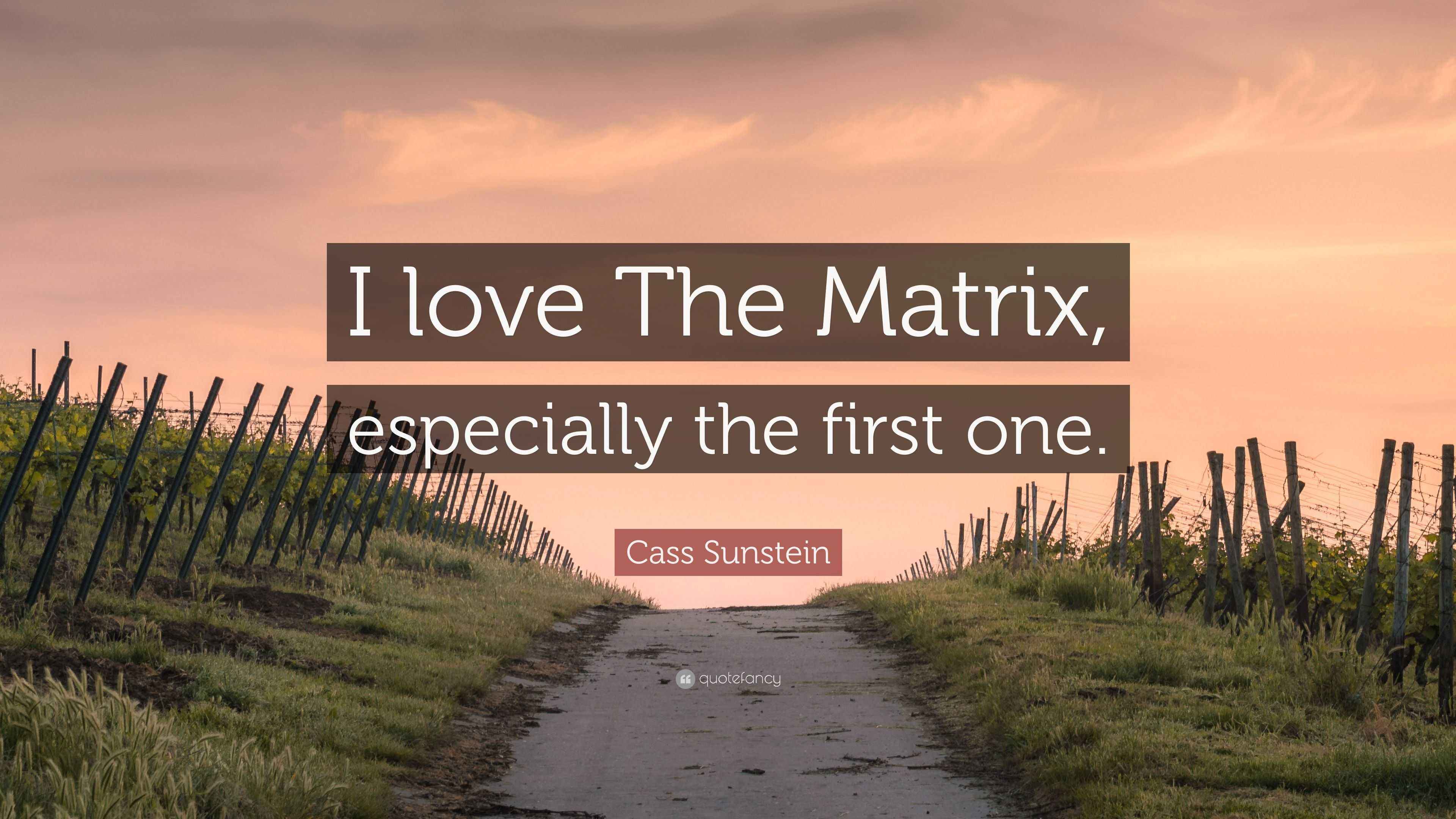 Cass Sunstein Quote: “I love The Matrix, especially the first one.”
