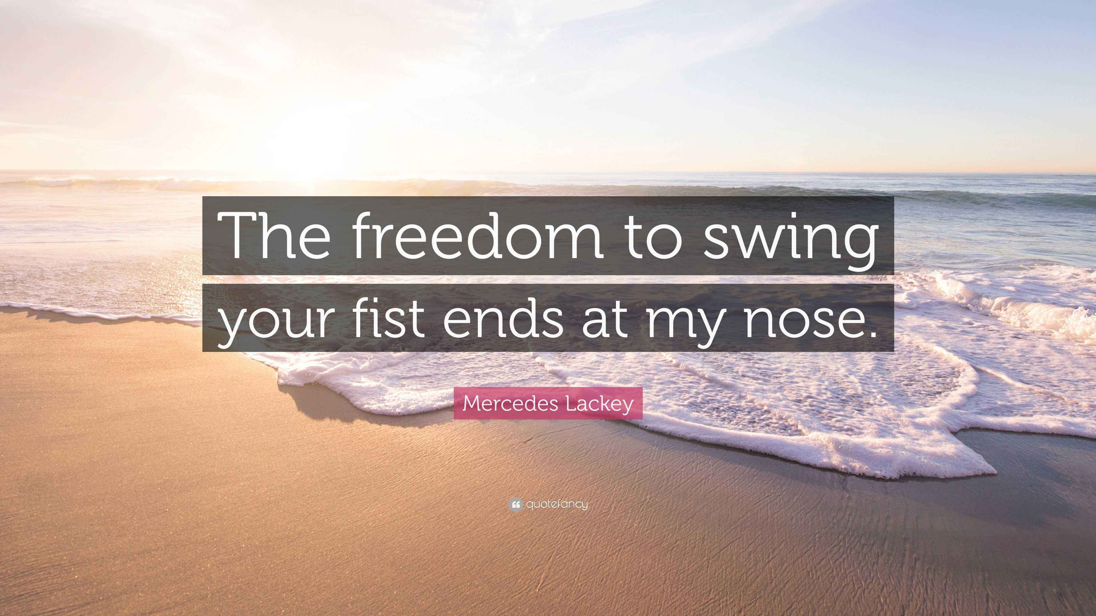 Mercedes Lackey Quote: “The freedom to swing your fist ends at my nose.”