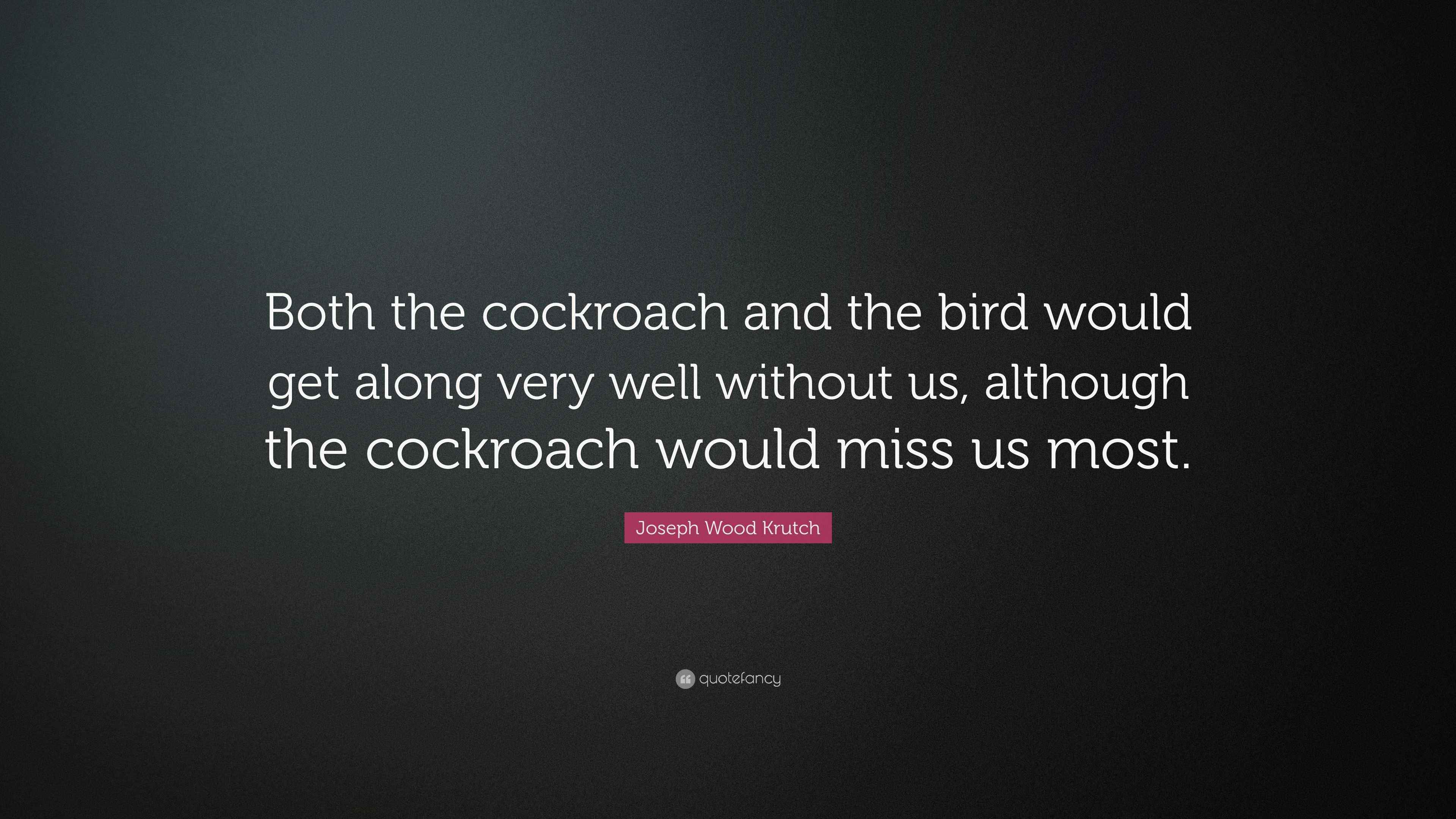 Joseph Wood Krutch Quote: “Both the cockroach and the bird would get ...