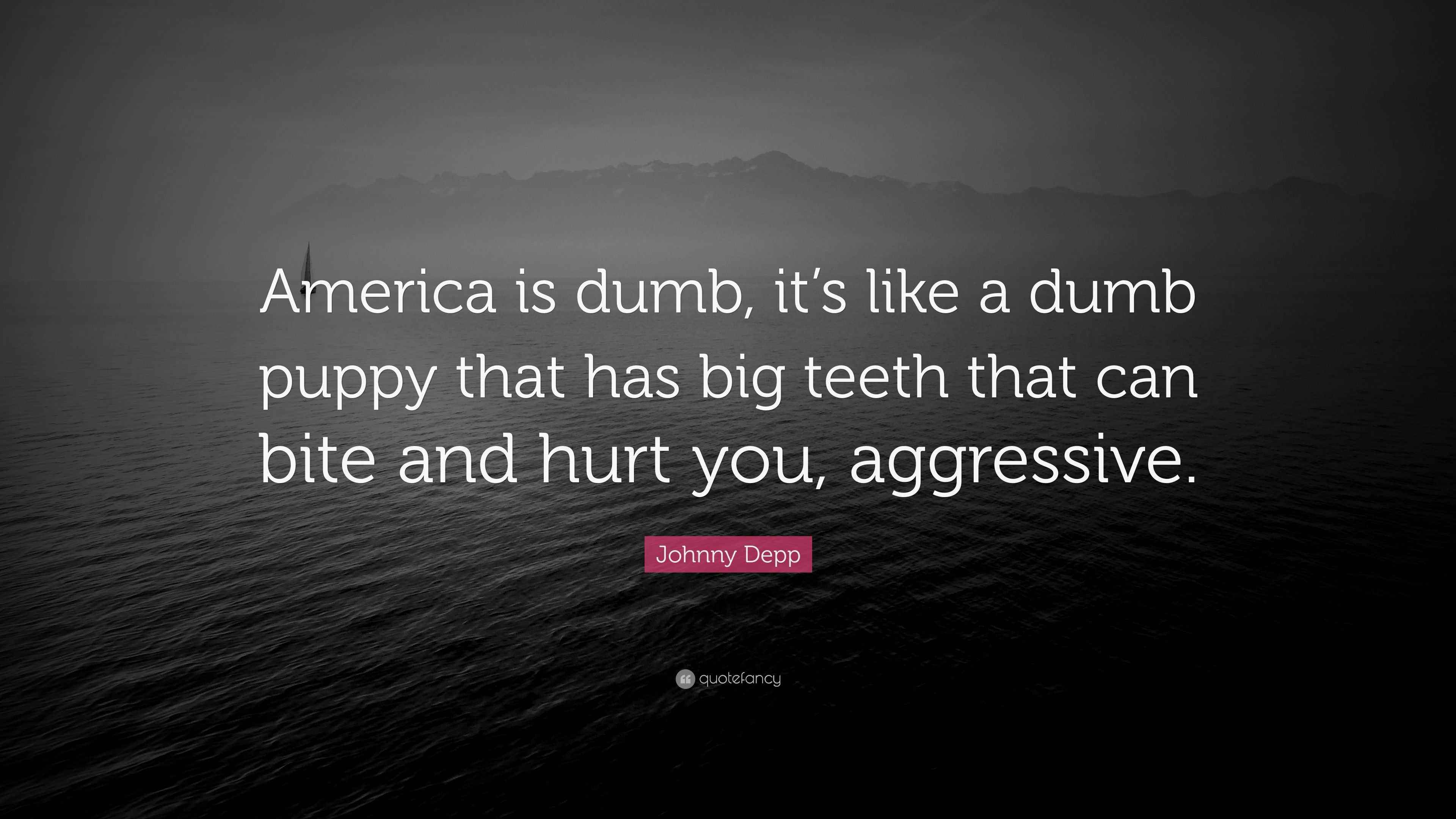 Johnny Depp Quote: “America is dumb, it’s like a dumb puppy that has ...