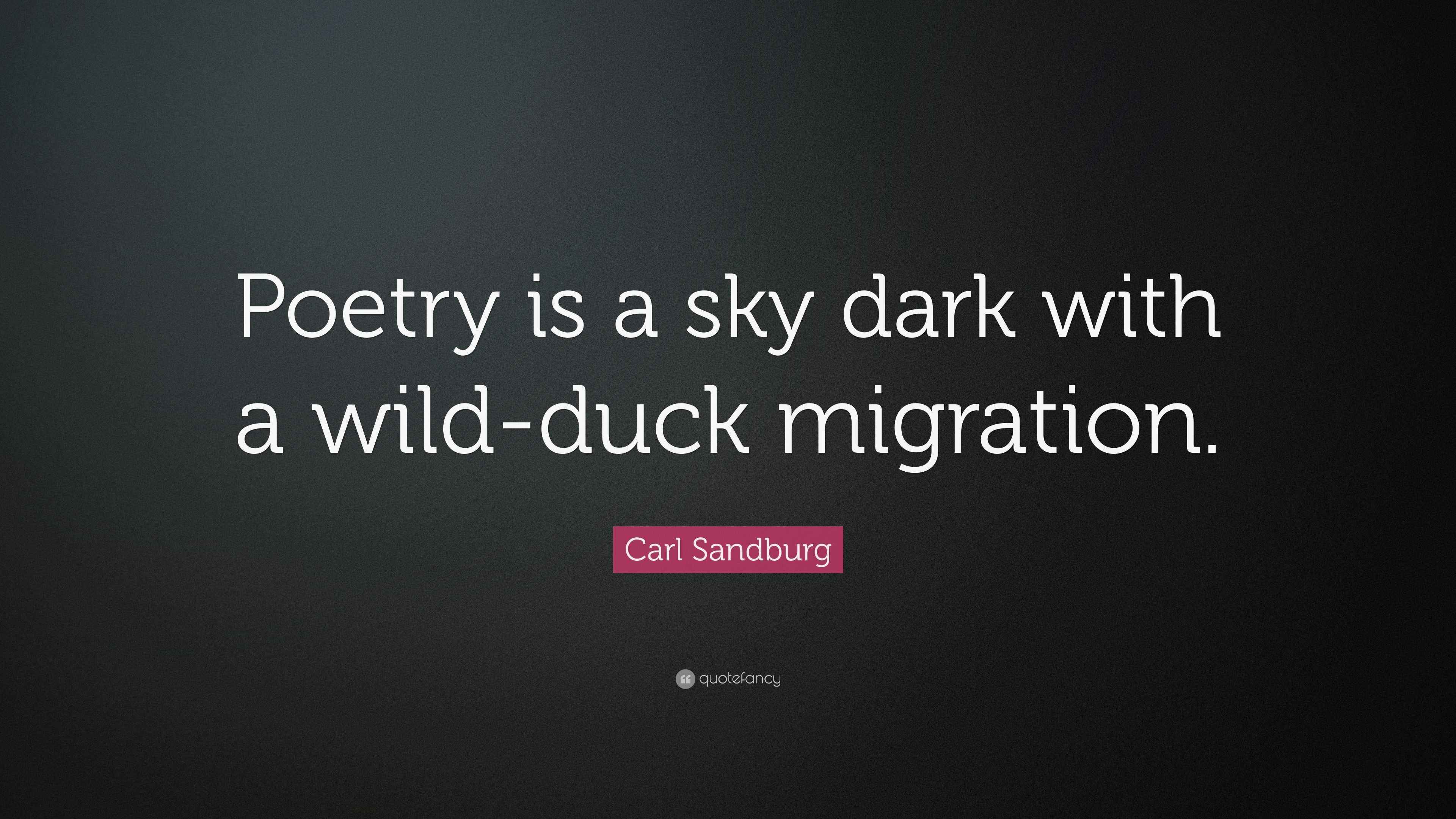 Carl Sandburg Quote: “Poetry is a sky dark with a wild-duck migration.”