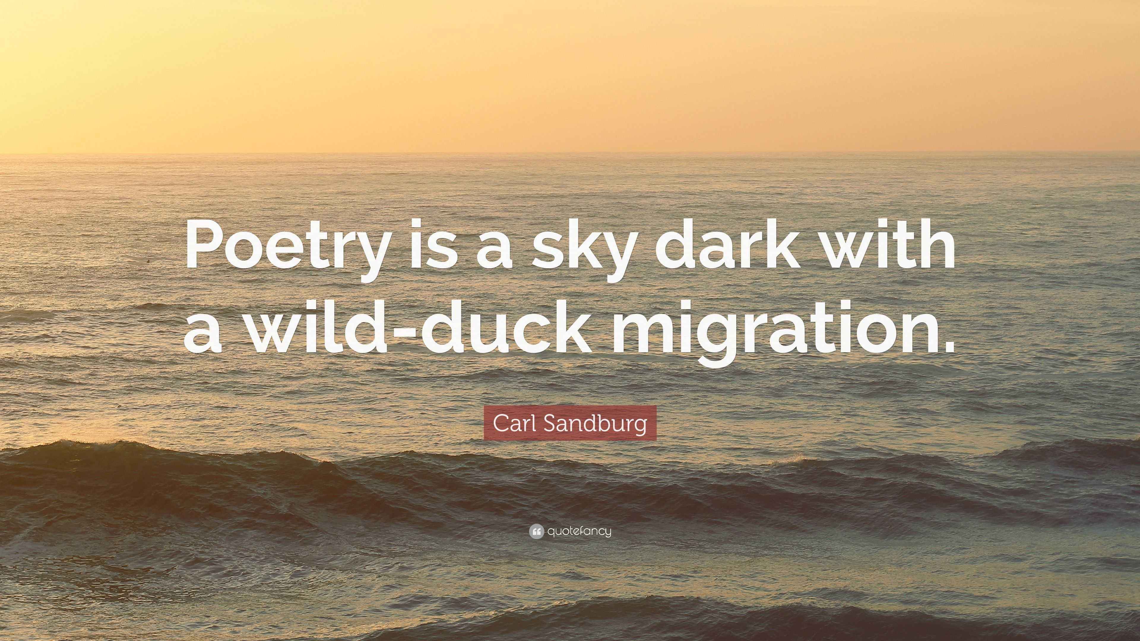 Carl Sandburg Quote: “Poetry is a sky dark with a wild-duck migration.”