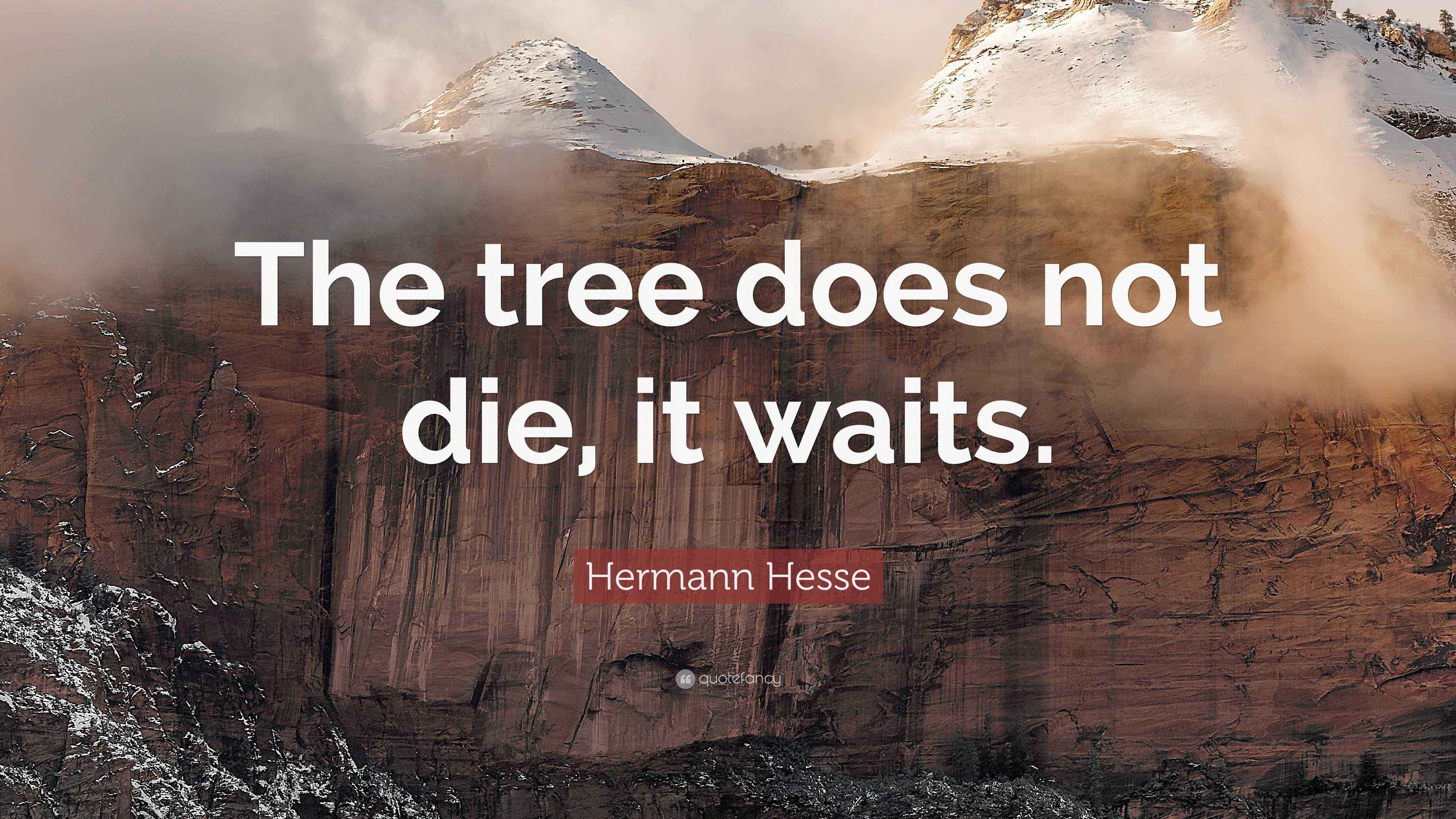 Hermann Hesse Quote: “The tree does not die, it waits.”