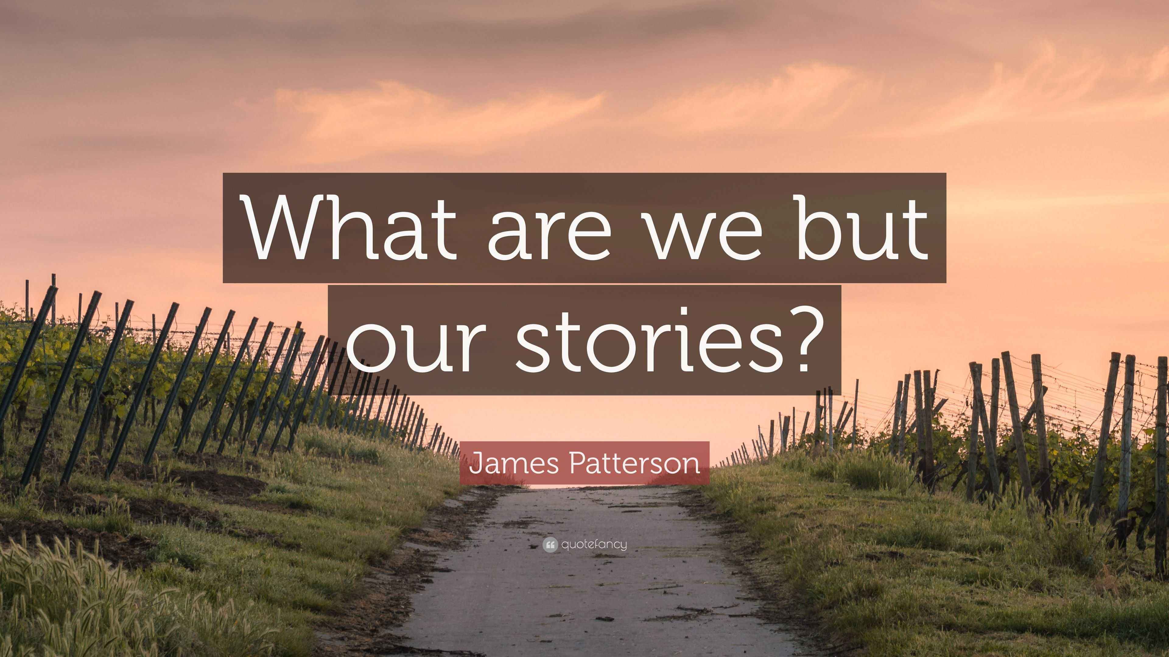 James Patterson Quote: “What are we but our stories?”