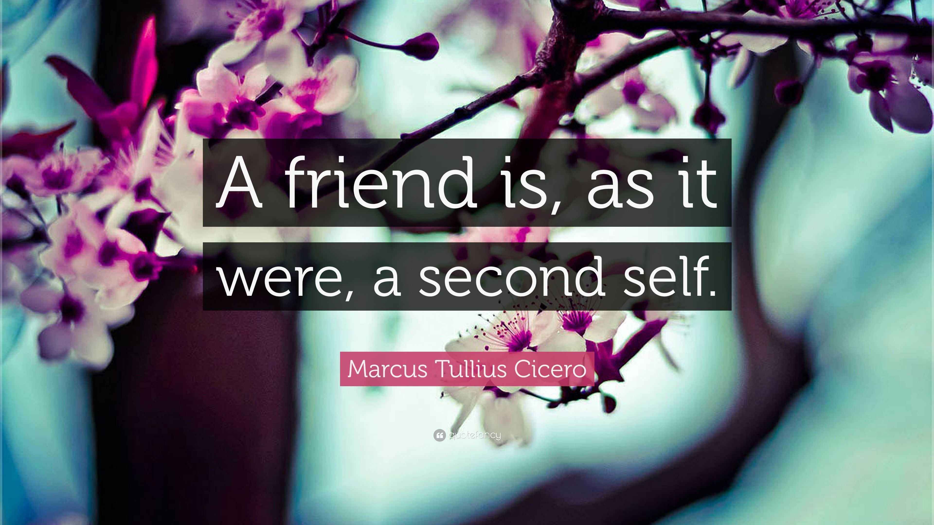 Marcus Tullius Cicero Quote: “A friend is, as it were, a second self.”