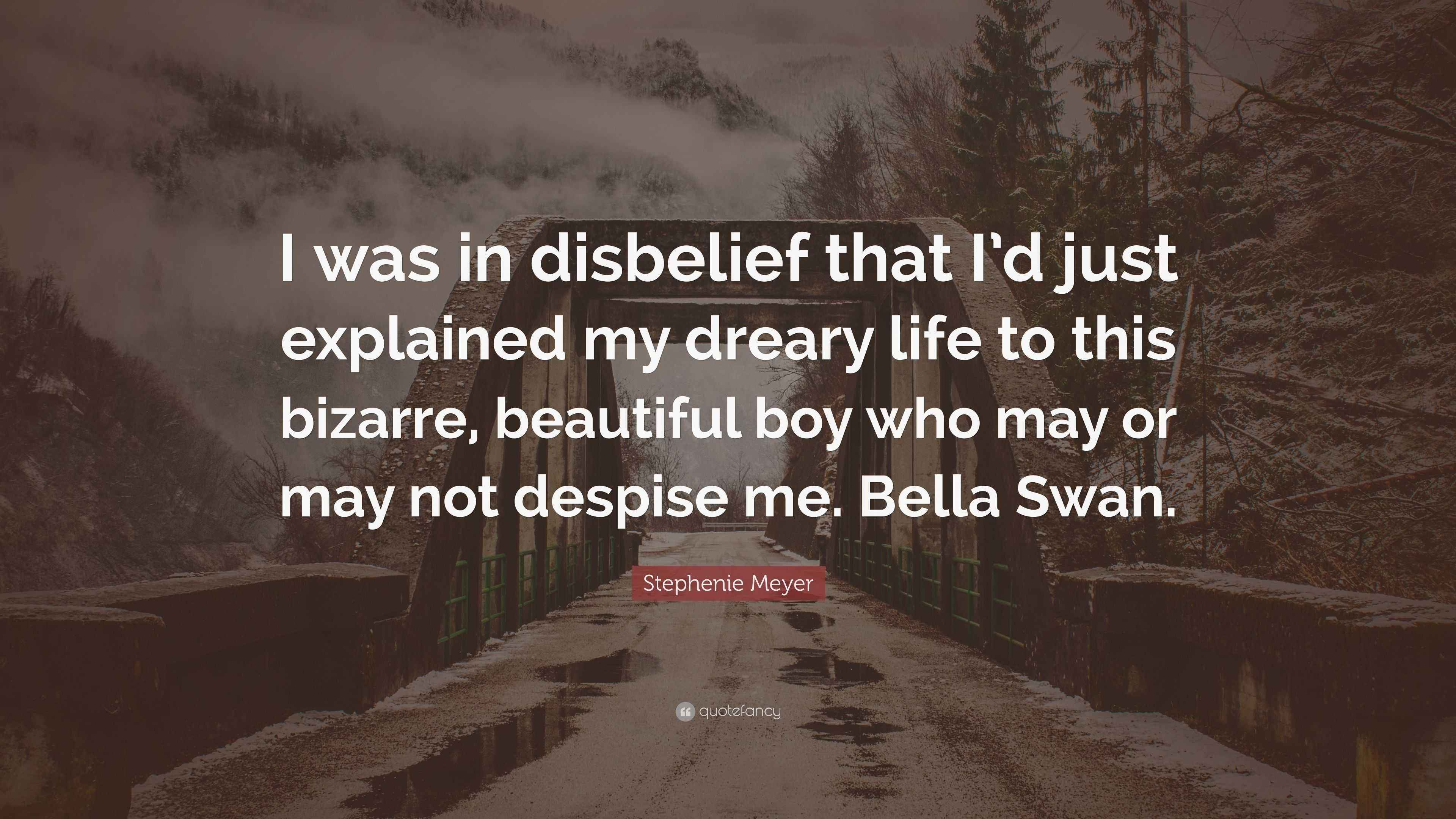 Stephenie Meyer Quote: “I was in disbelief that I’d just explained my ...