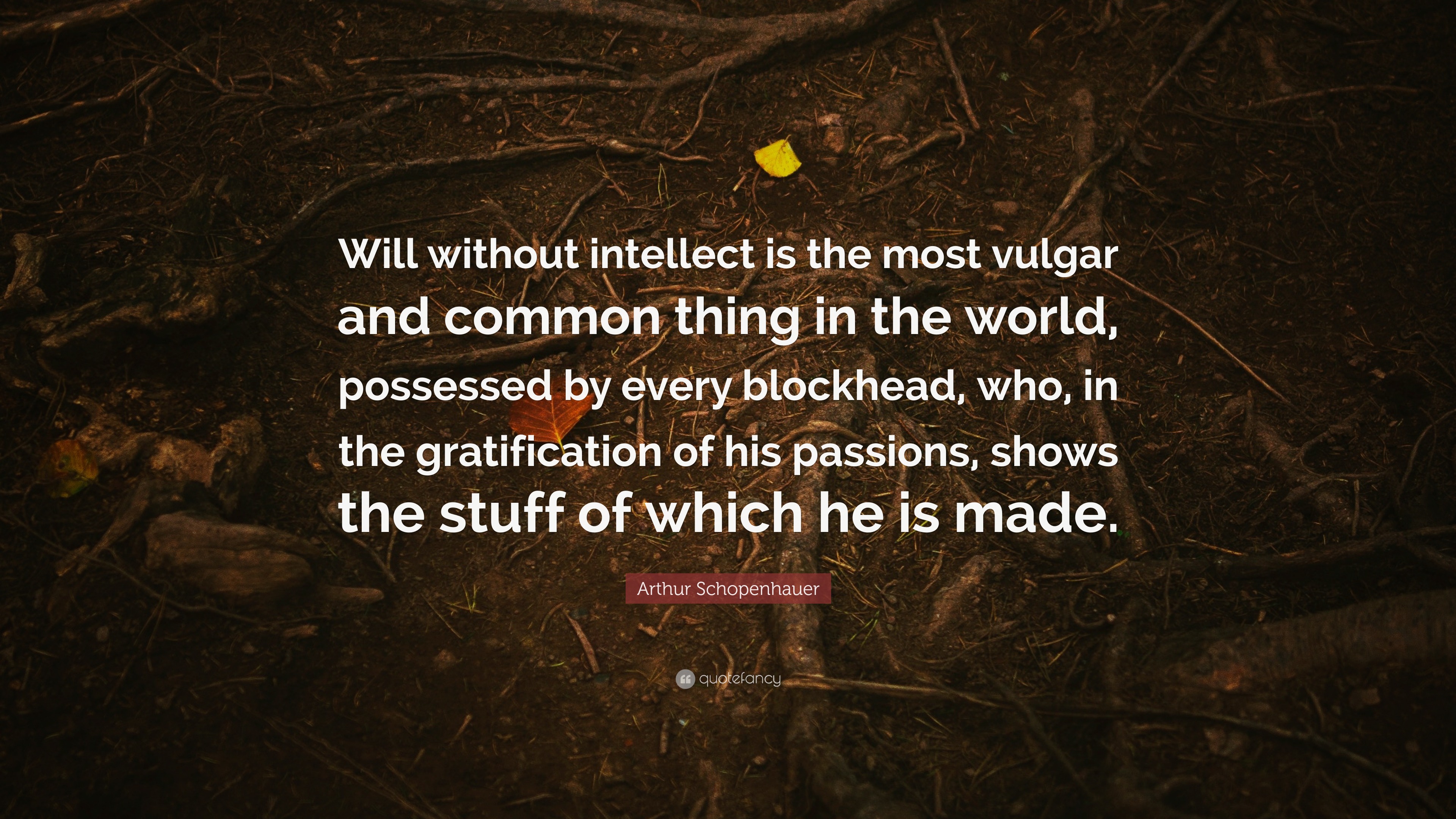 Arthur Schopenhauer Quote: “Will without intellect is the most vulgar ...