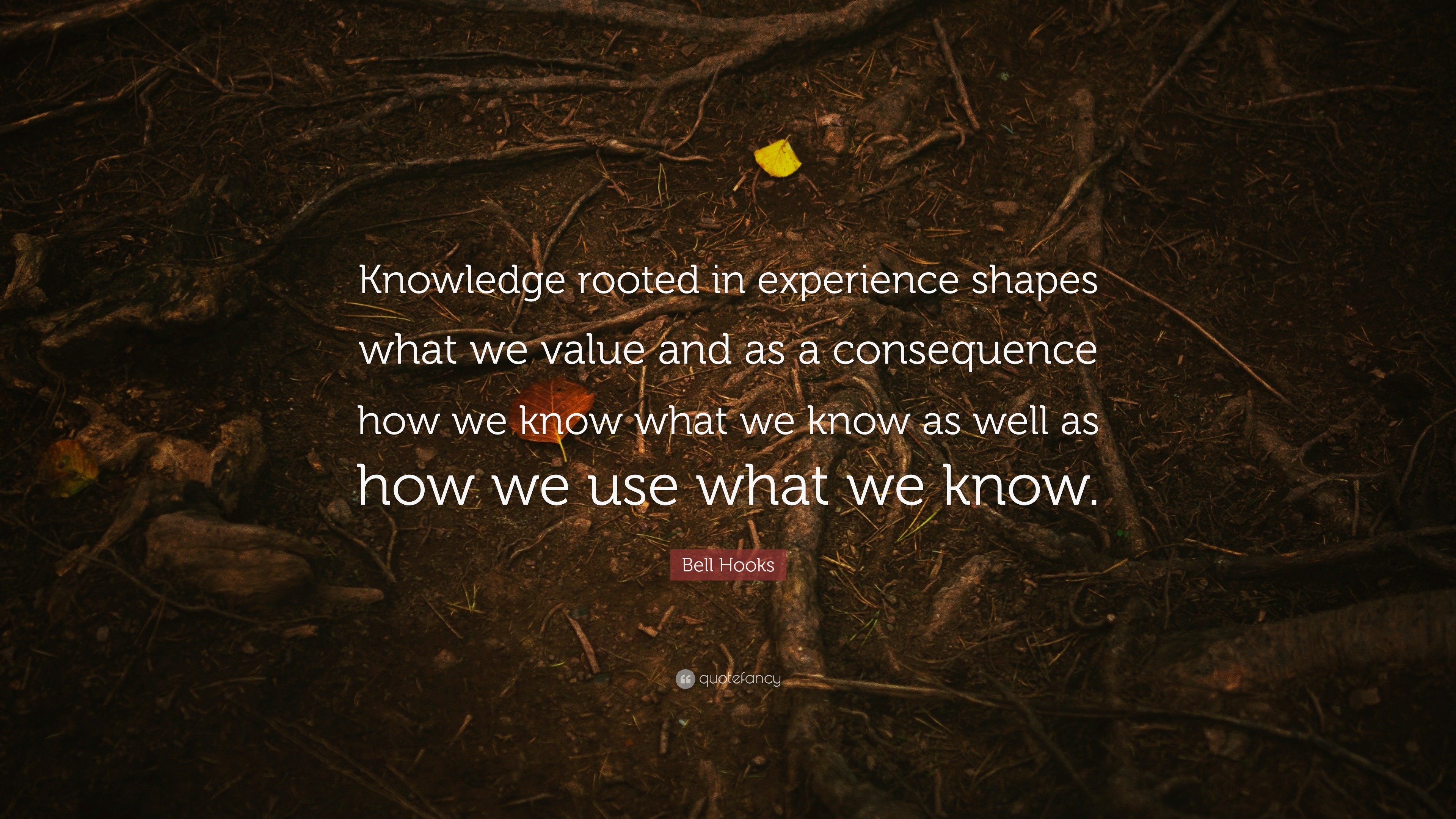 Bell Hooks Quote: “Knowledge rooted in experience shapes what we value ...