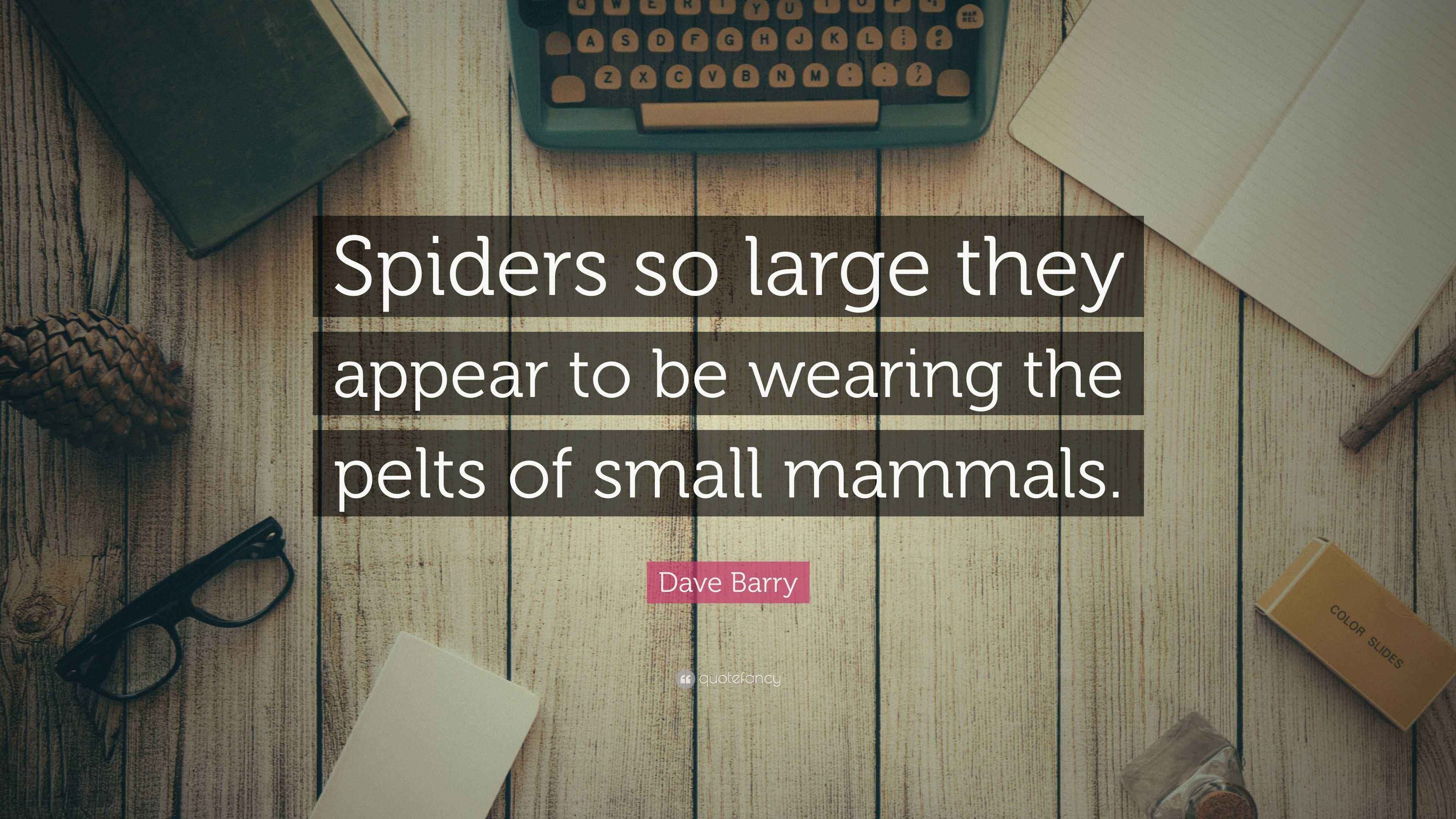 Dave Barry Quote: “Spiders so large they appear to be wearing the pelts ...