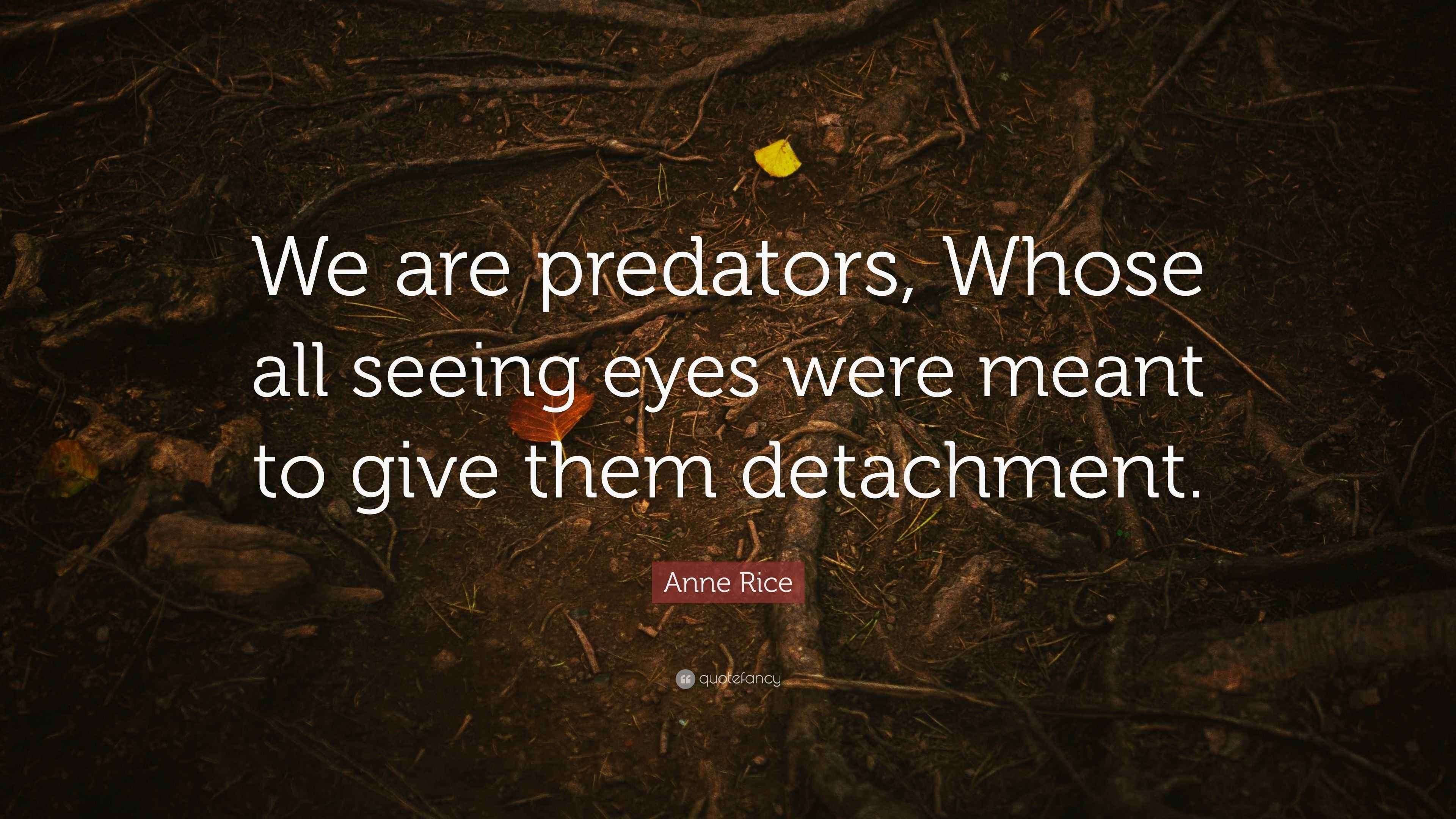 Anne Rice Quote: “We are predators, Whose all seeing eyes were meant to ...