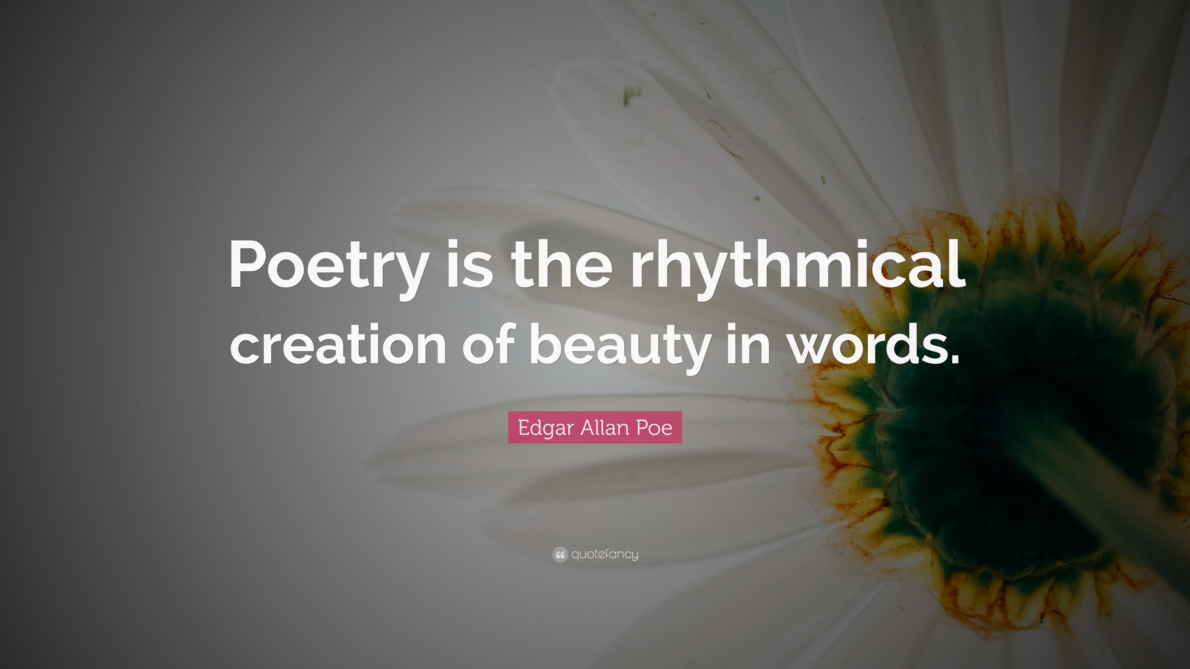 Edgar Allan Poe Quote: “Poetry is the rhythmical creation of beauty in ...