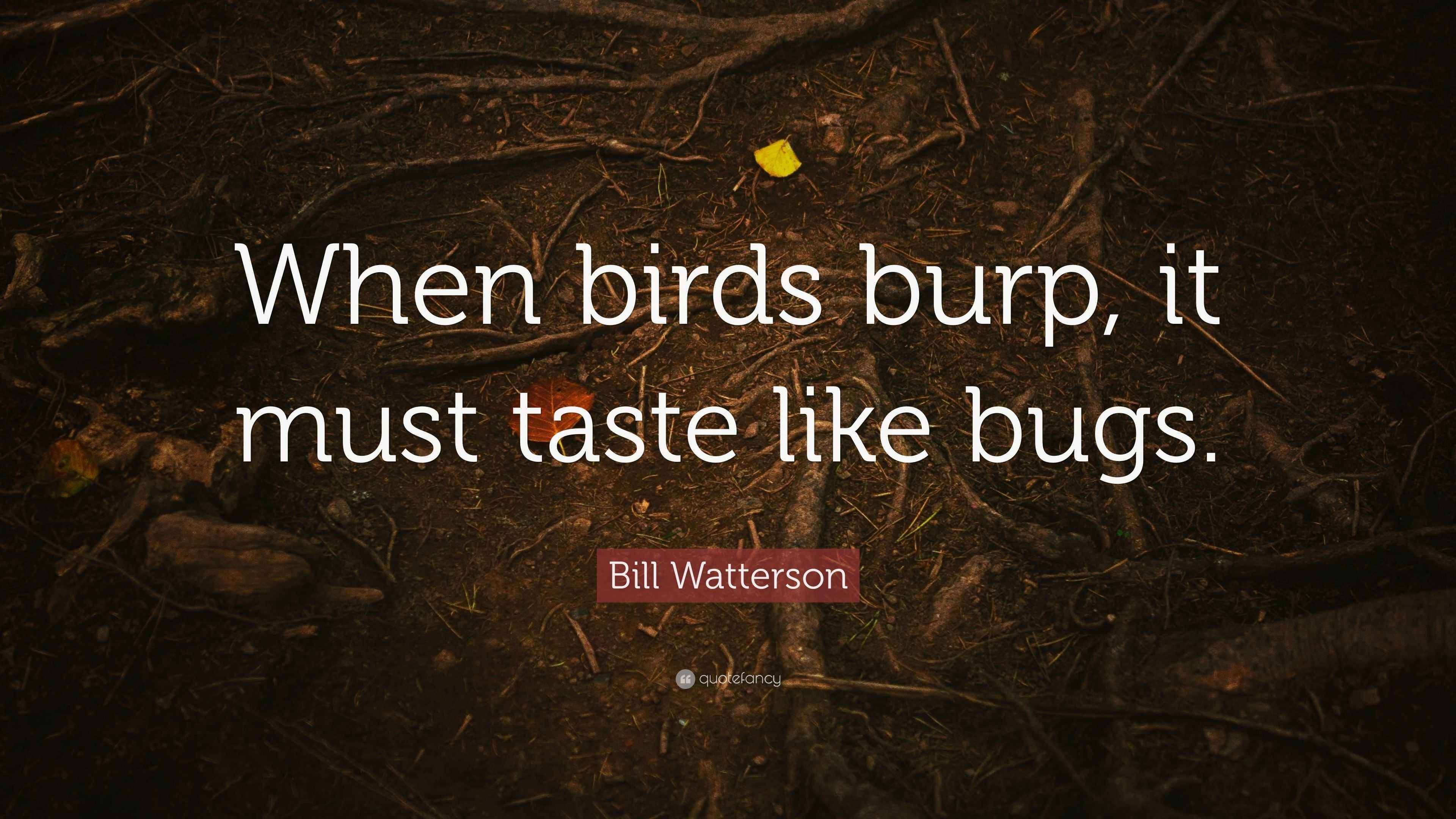Bill Watterson Quote: “When birds burp, it must taste like bugs.”