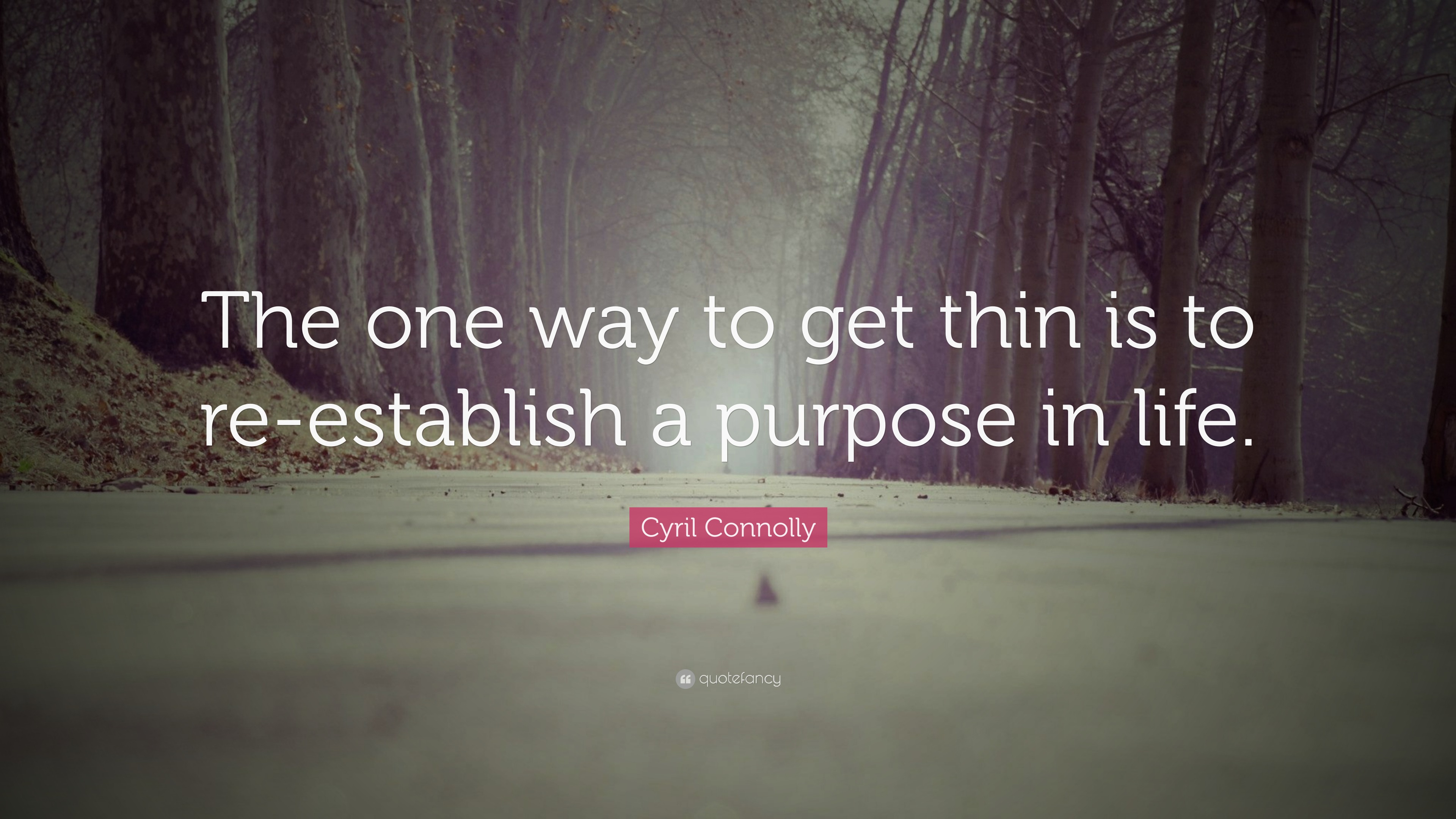 Cyril Connolly Quote: “The one way to get thin is to re-establish a ...