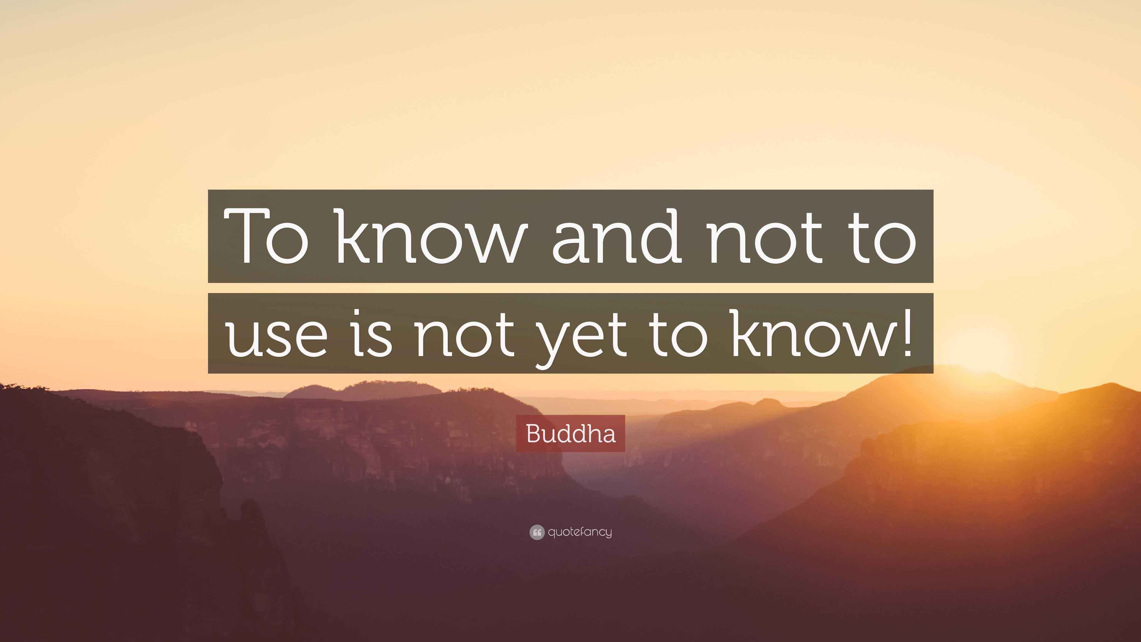 Buddha Quote: “To know and not to use is not yet to know!”