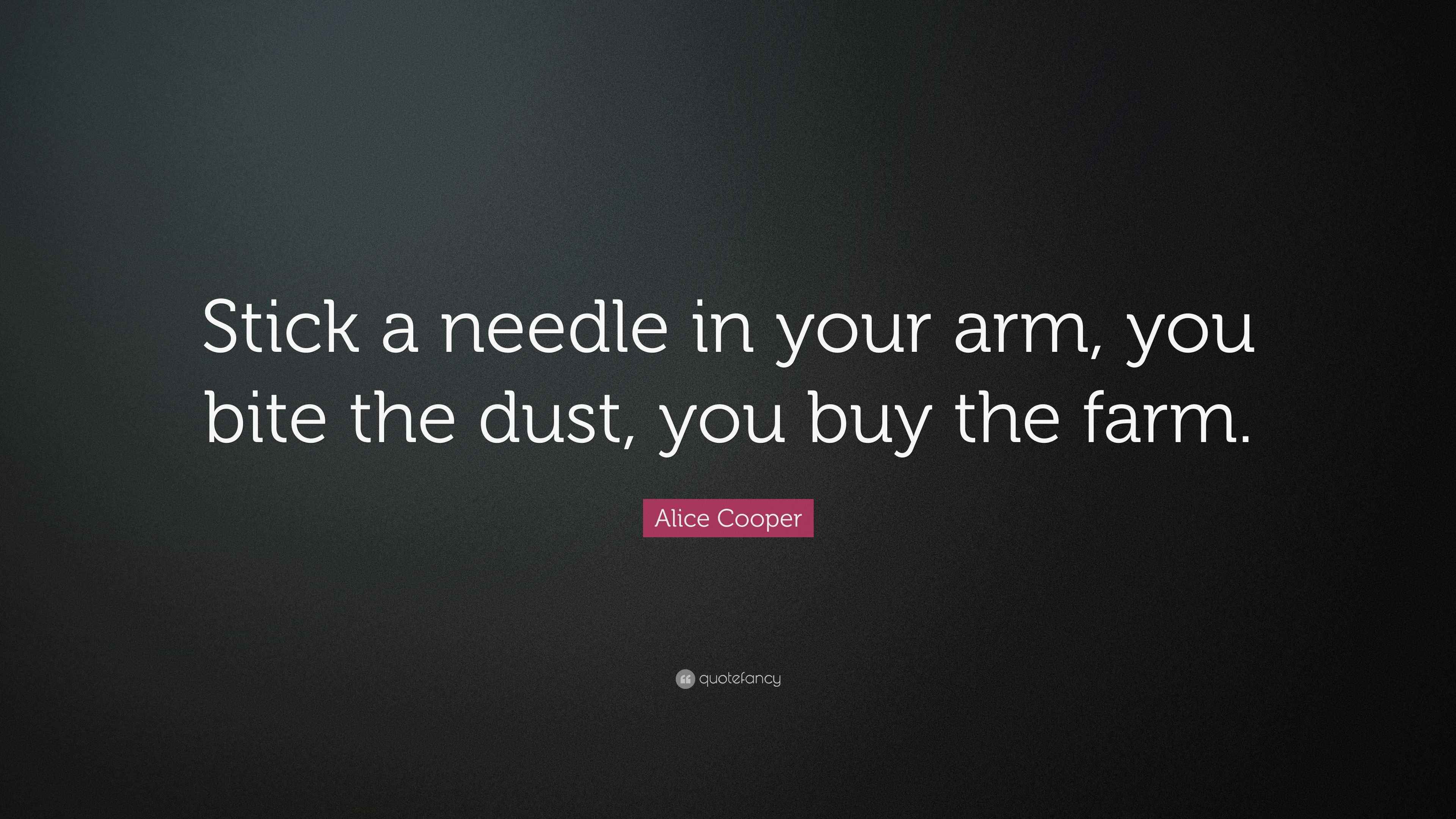 Alice Cooper Quote: “Stick a needle in your arm, you bite the dust, you ...